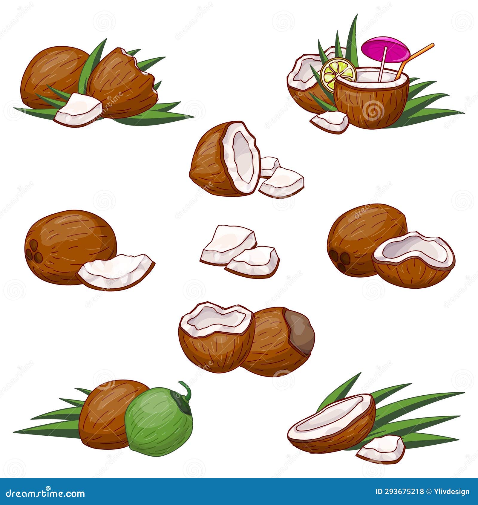Coconut Icons Set Cartoon Vector. Coco Leaf Palm Stock Vector ...