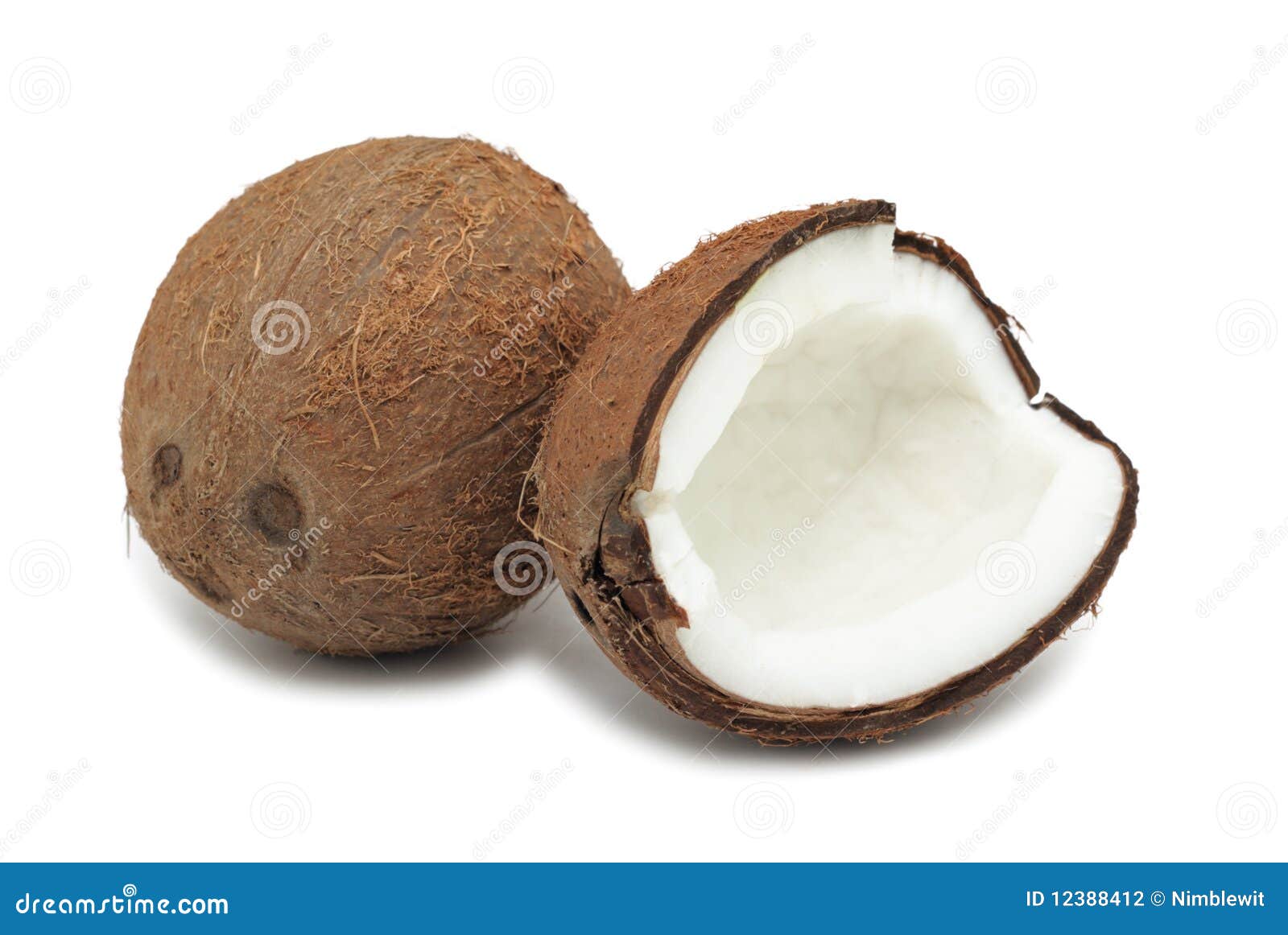 Coconut, isolated stock photo. Image of objects, gourmet - 12388412
