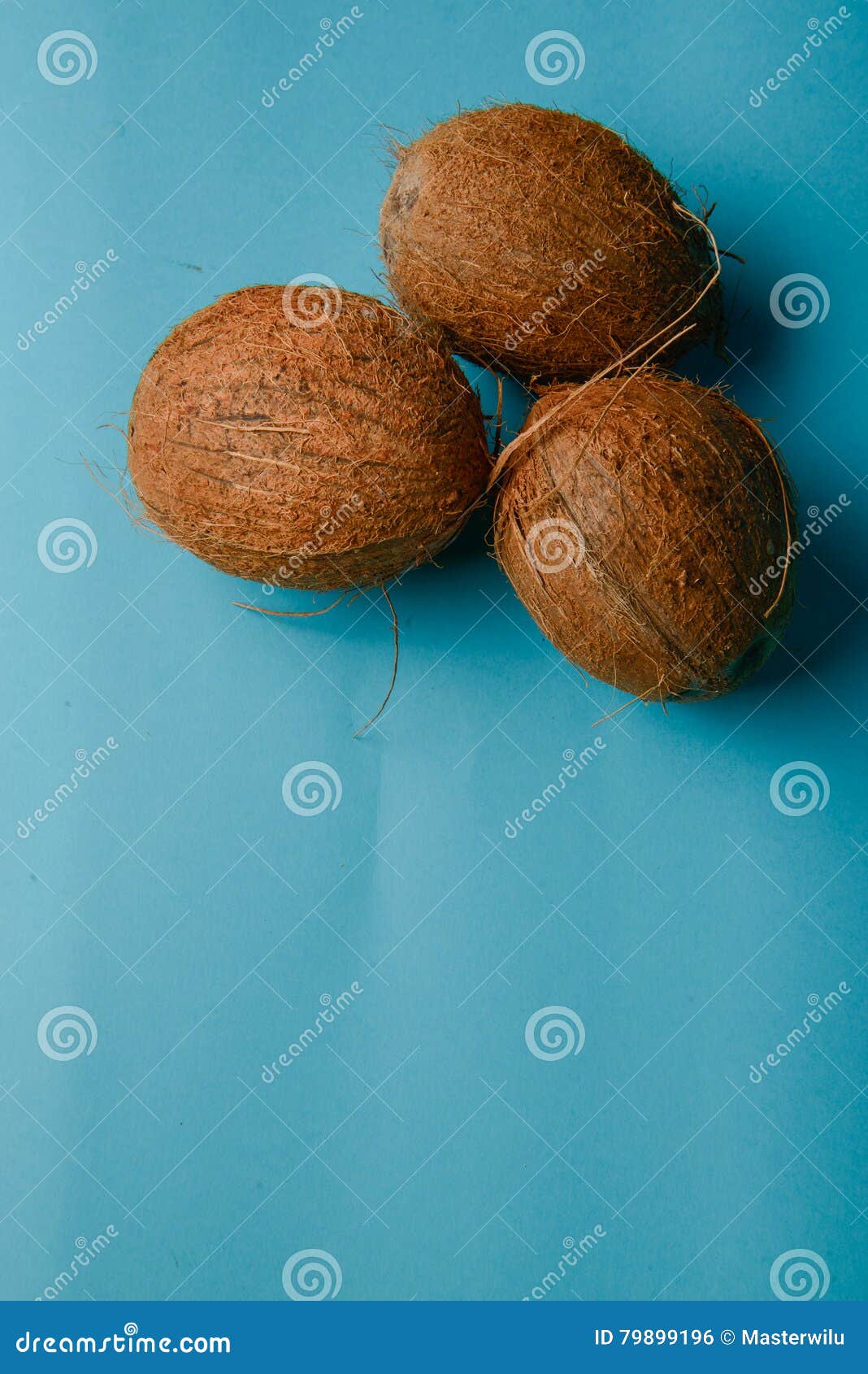 Coconut Isolated on Blue Background Stock Photo - Image of exotic ...