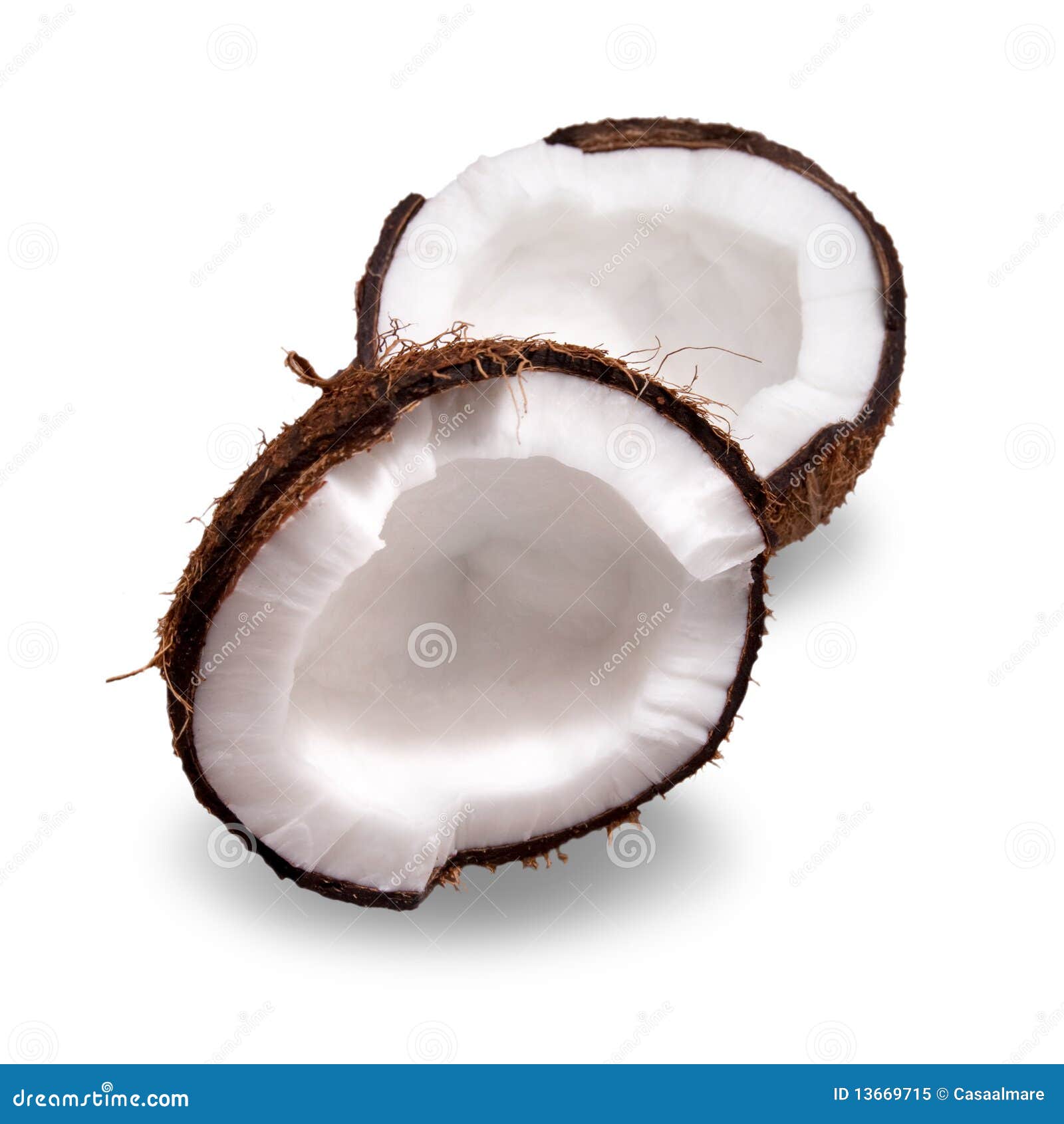 Coconut isolated on white stock image. Image of shell - 13669715