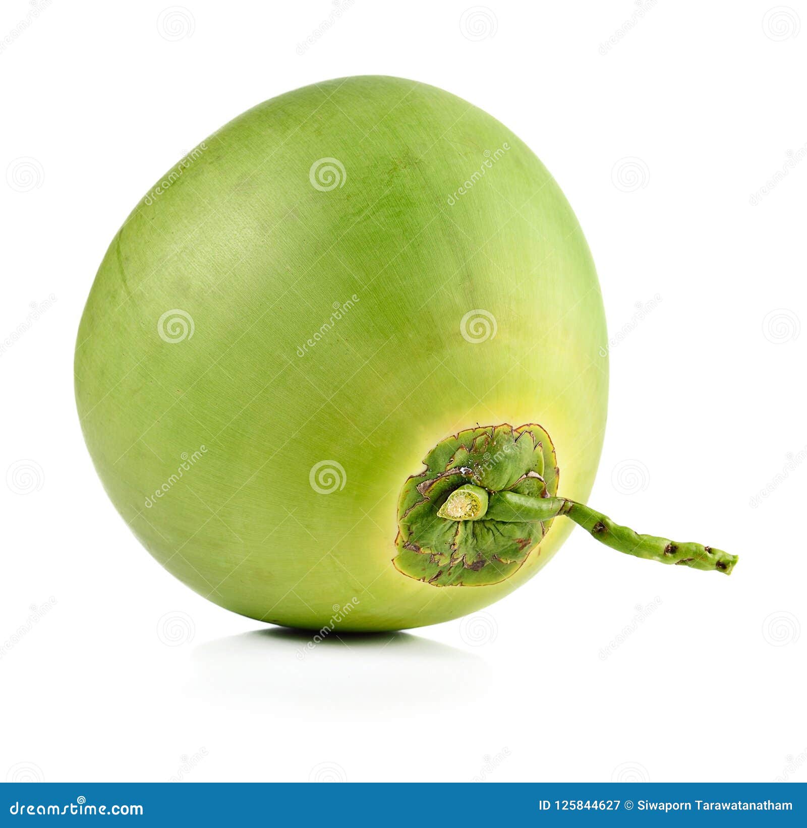 Coconut Isolated on White Background Stock Image - Image of round ...