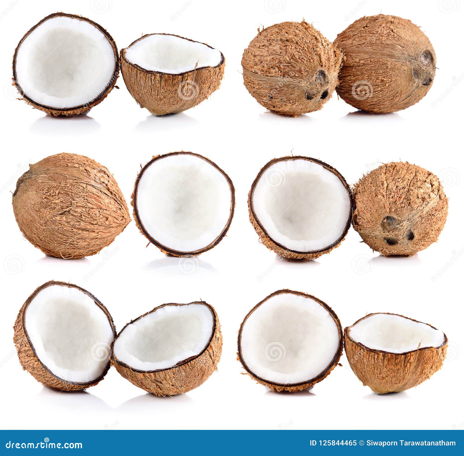 Coconut Isolated on White Background Stock Image - Image of green ...