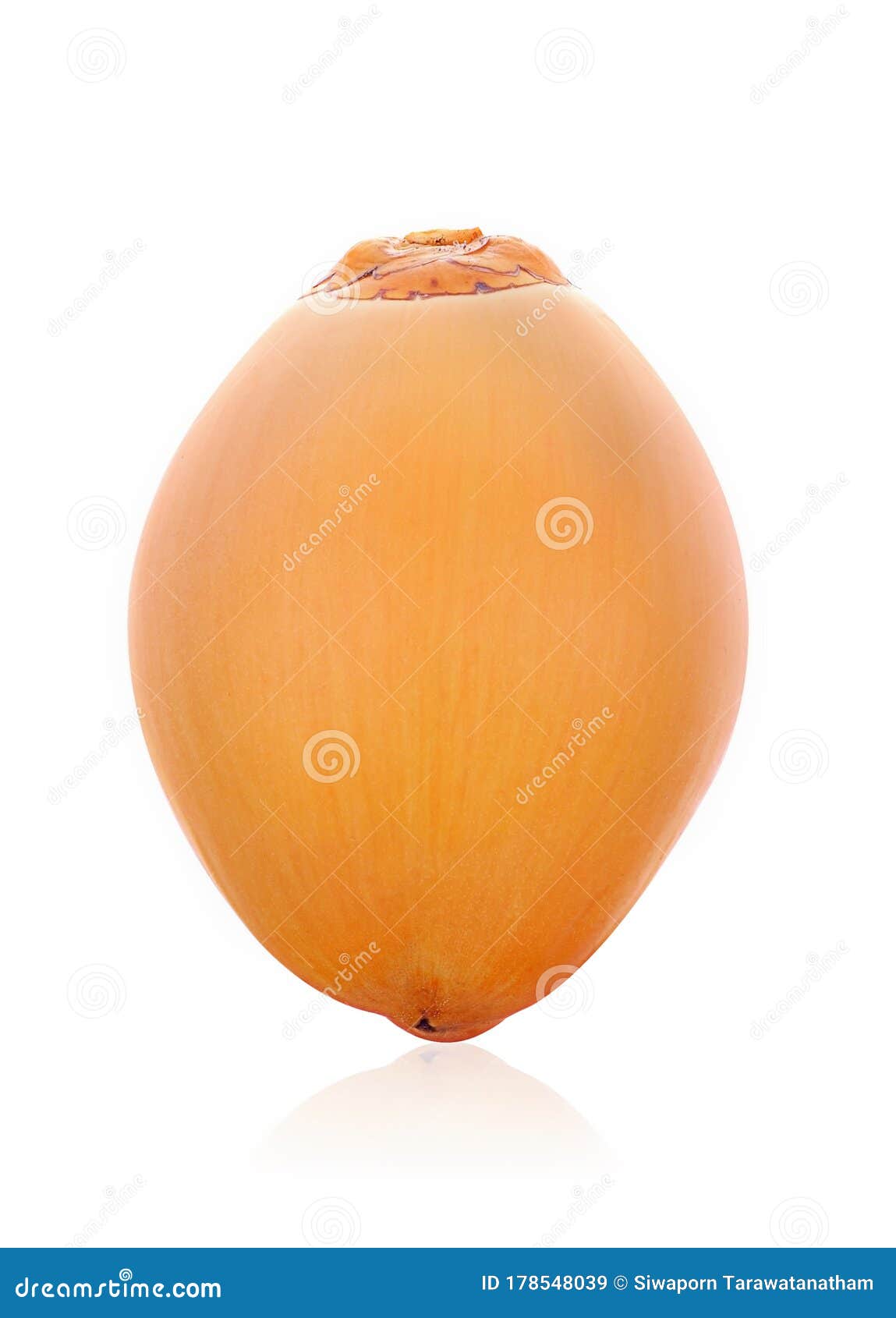 Coconut Isolated on White Background Stock Image - Image of diet, food ...