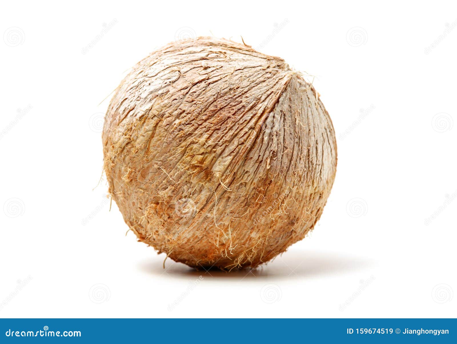 Coconut on White Background Stock Image - Image of details, broken ...