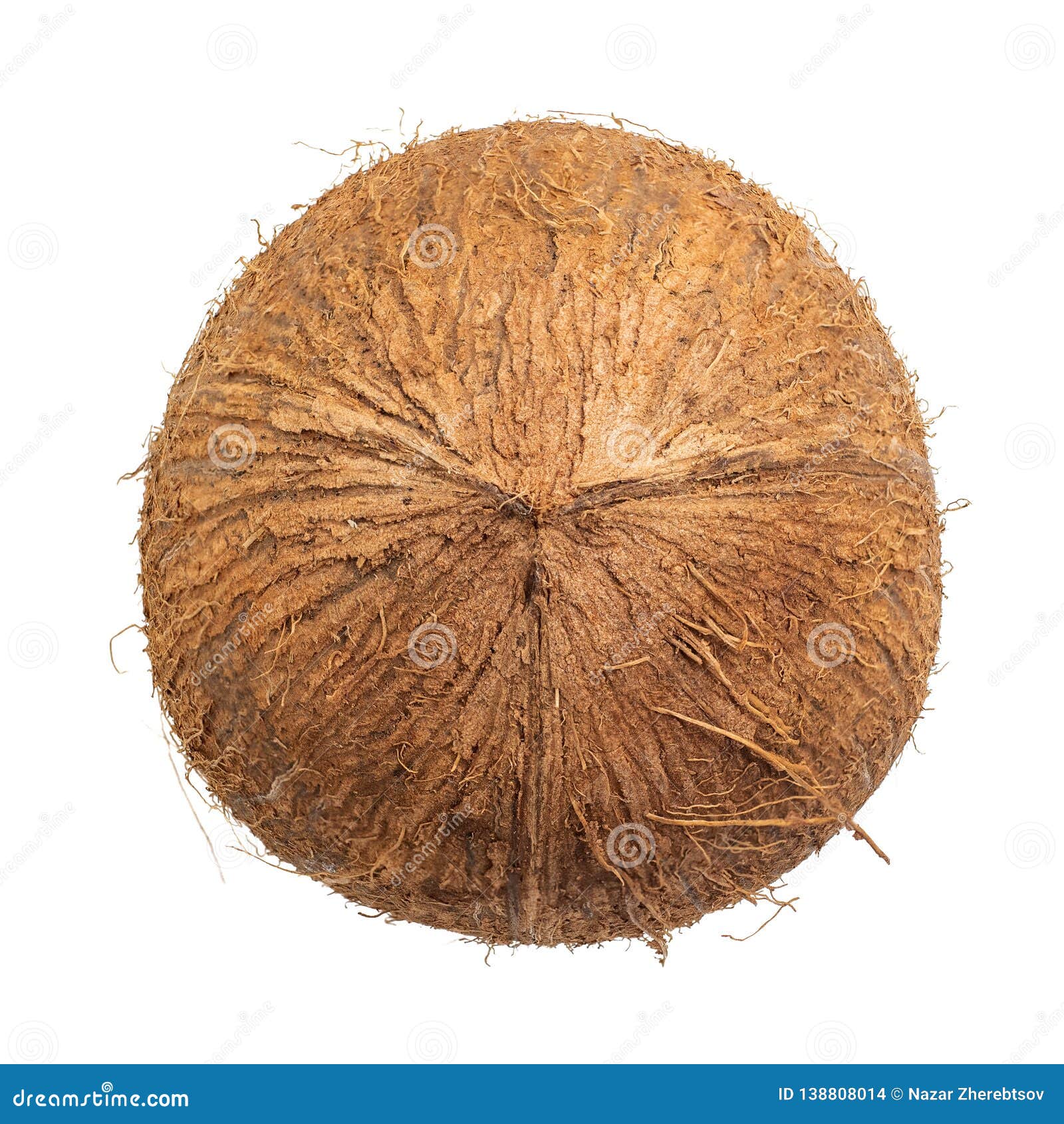 Coconut Isolated on White Background. Top View Stock Photo - Image of ...