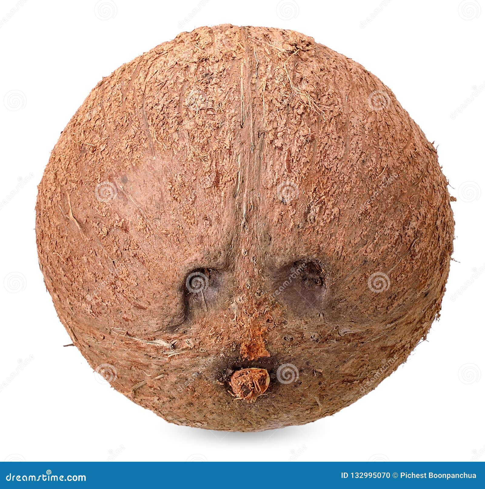 Coconut Isolated on White with Clipping Path Stock Photo - Image of ...