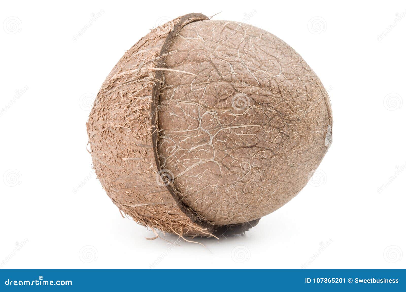 Coconut close-up on white stock image. Image of coconut - 107865201