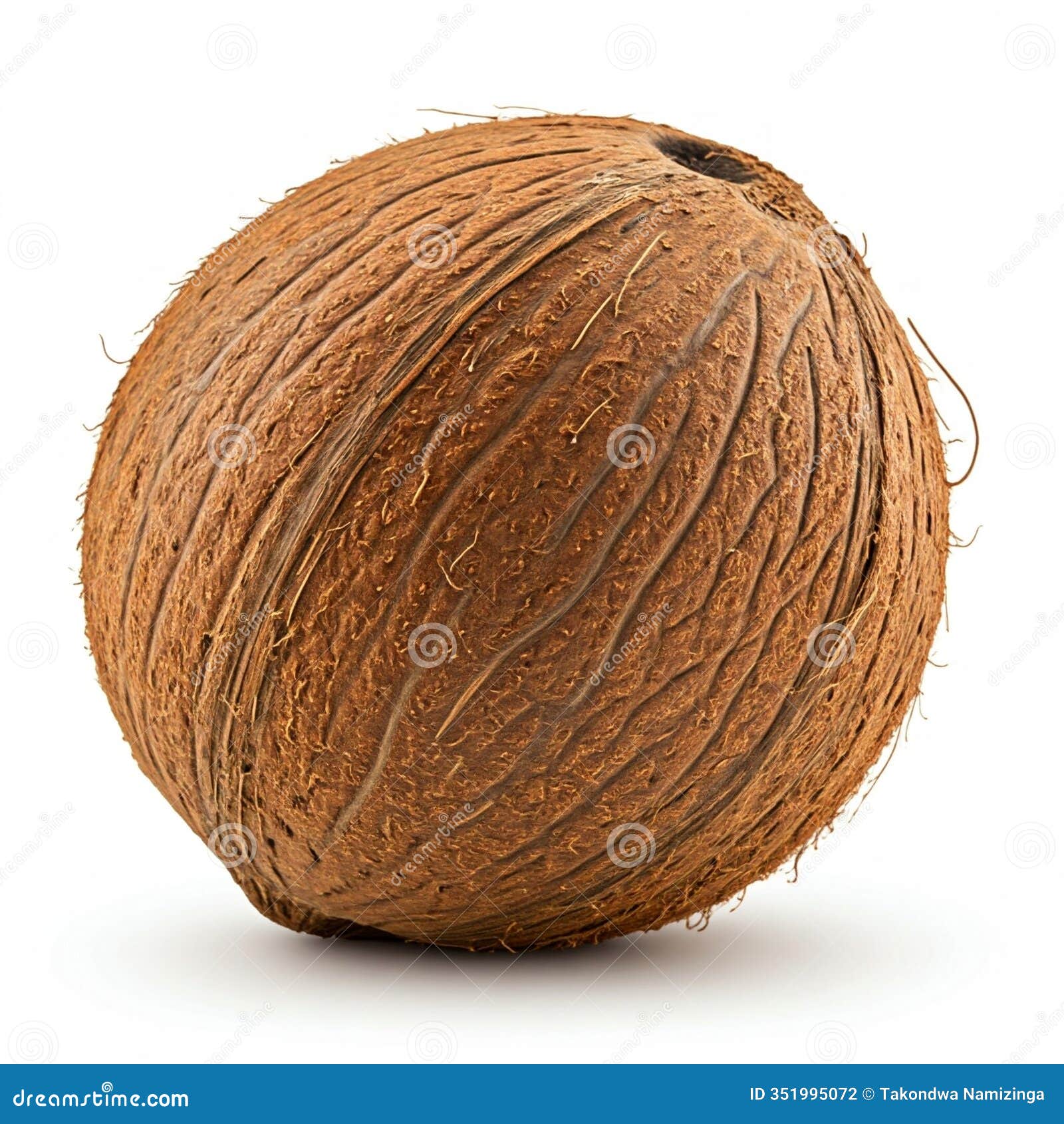 A Coconut Isolated on a White Background Stock Illustration ...