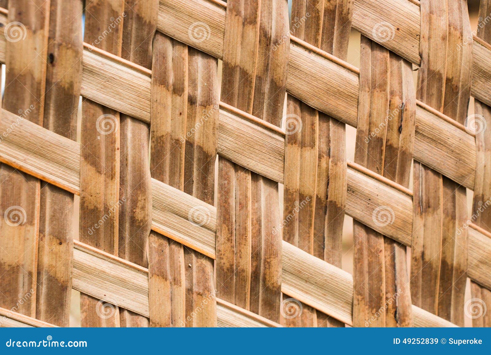 Coconut Leaf Mat Background Stock Image - Image of baja, mexico: 49252839