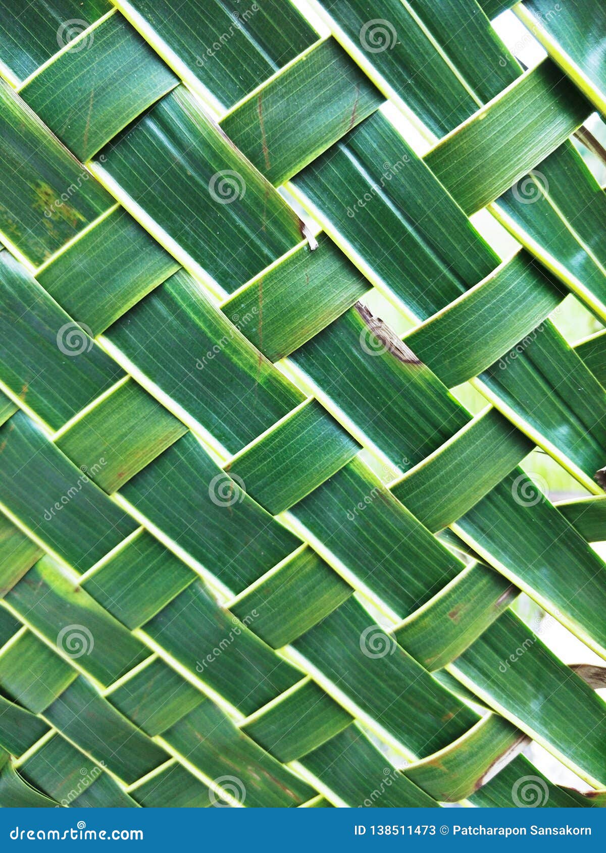 Coconut Leaf Texture Background Stock Image - Image of repeat, surface ...