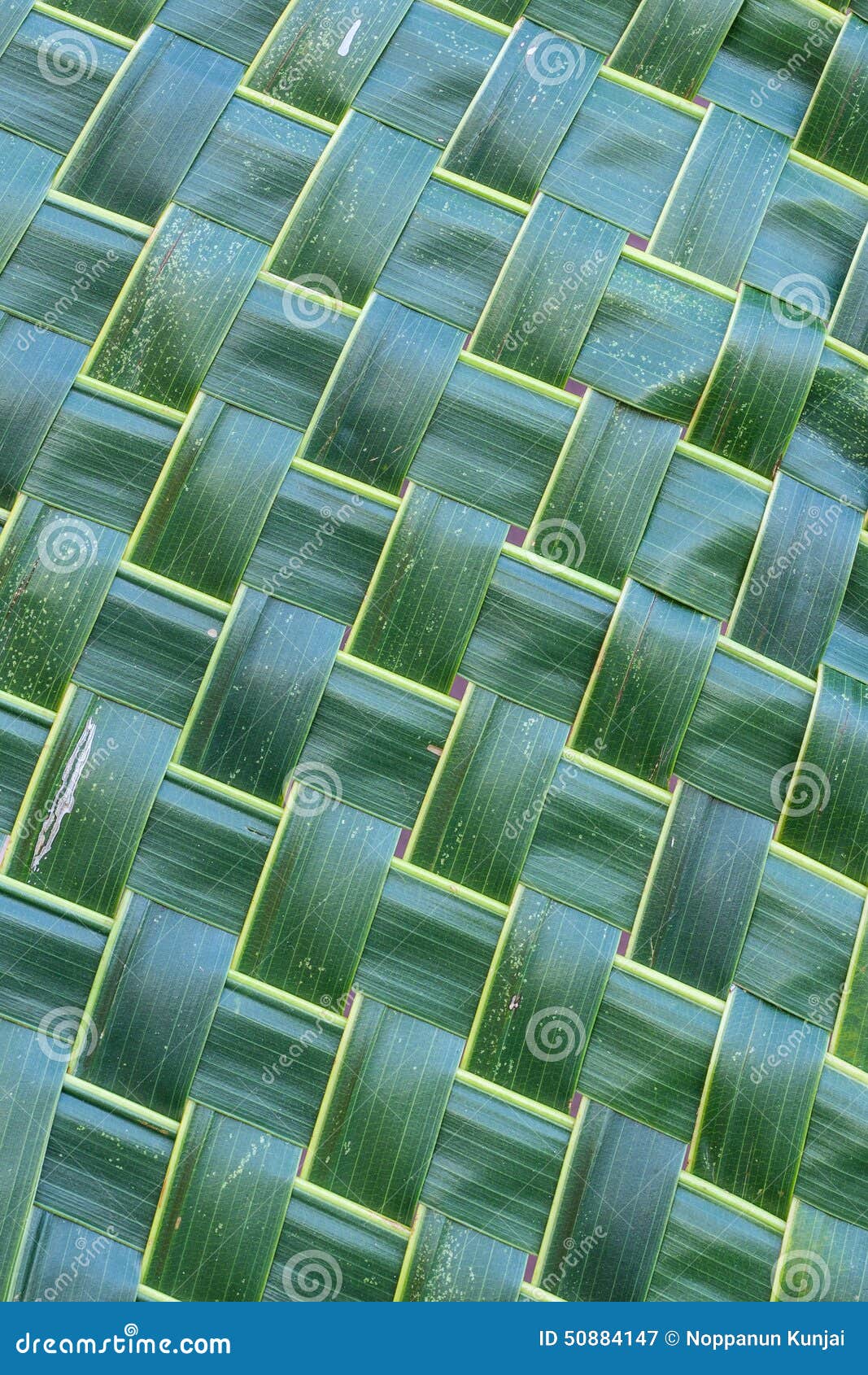 Coconut Leaf Weave Pattern. Stock Image - Image of abstract ...