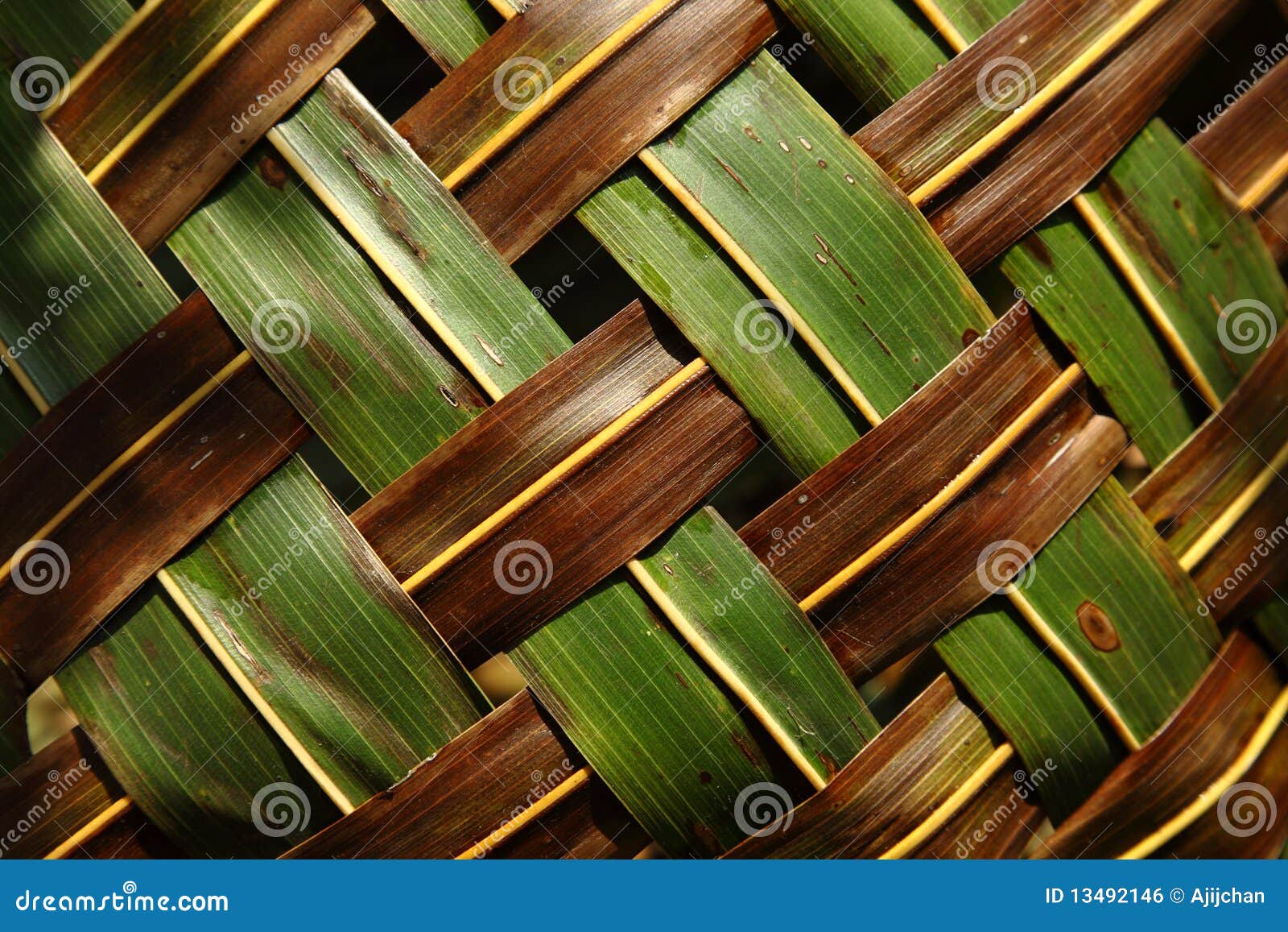Coconut Leaves Isolated White Background Summer Design Stock Image ...