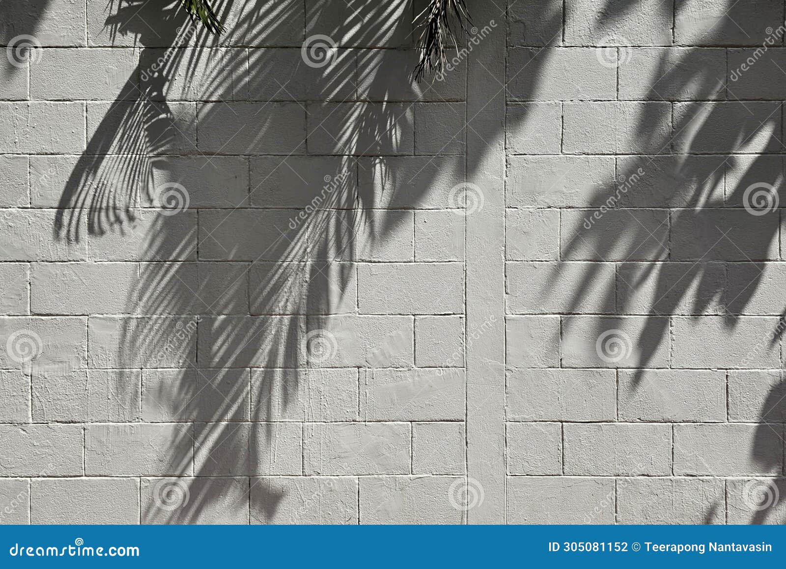 Coconut Leaves Shadow on Brick Wall Background. Stock Photo - Image of ...