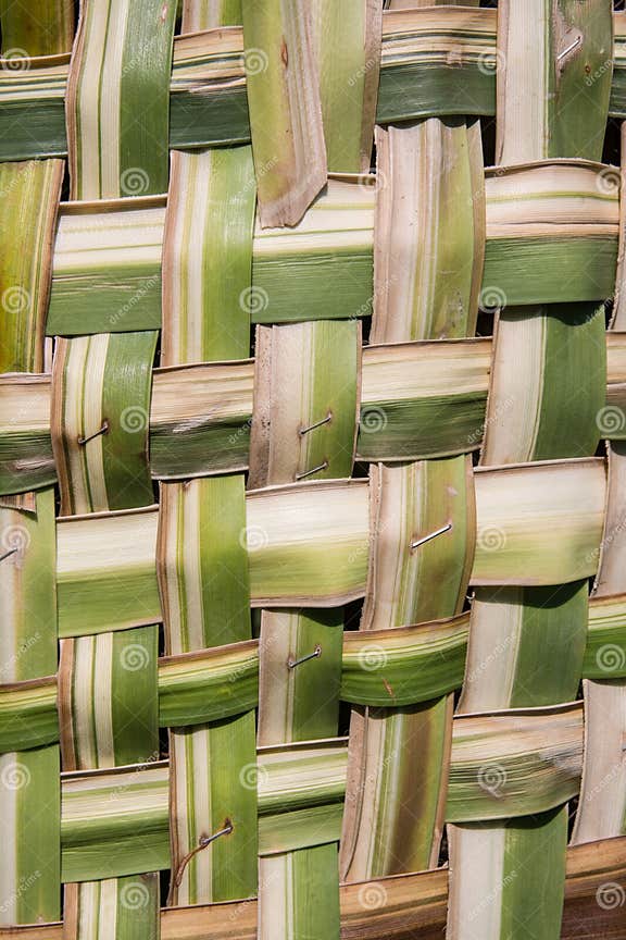 Coconut Leaves Weave Pattern Stock Image - Image of rows, coconut: 50616369