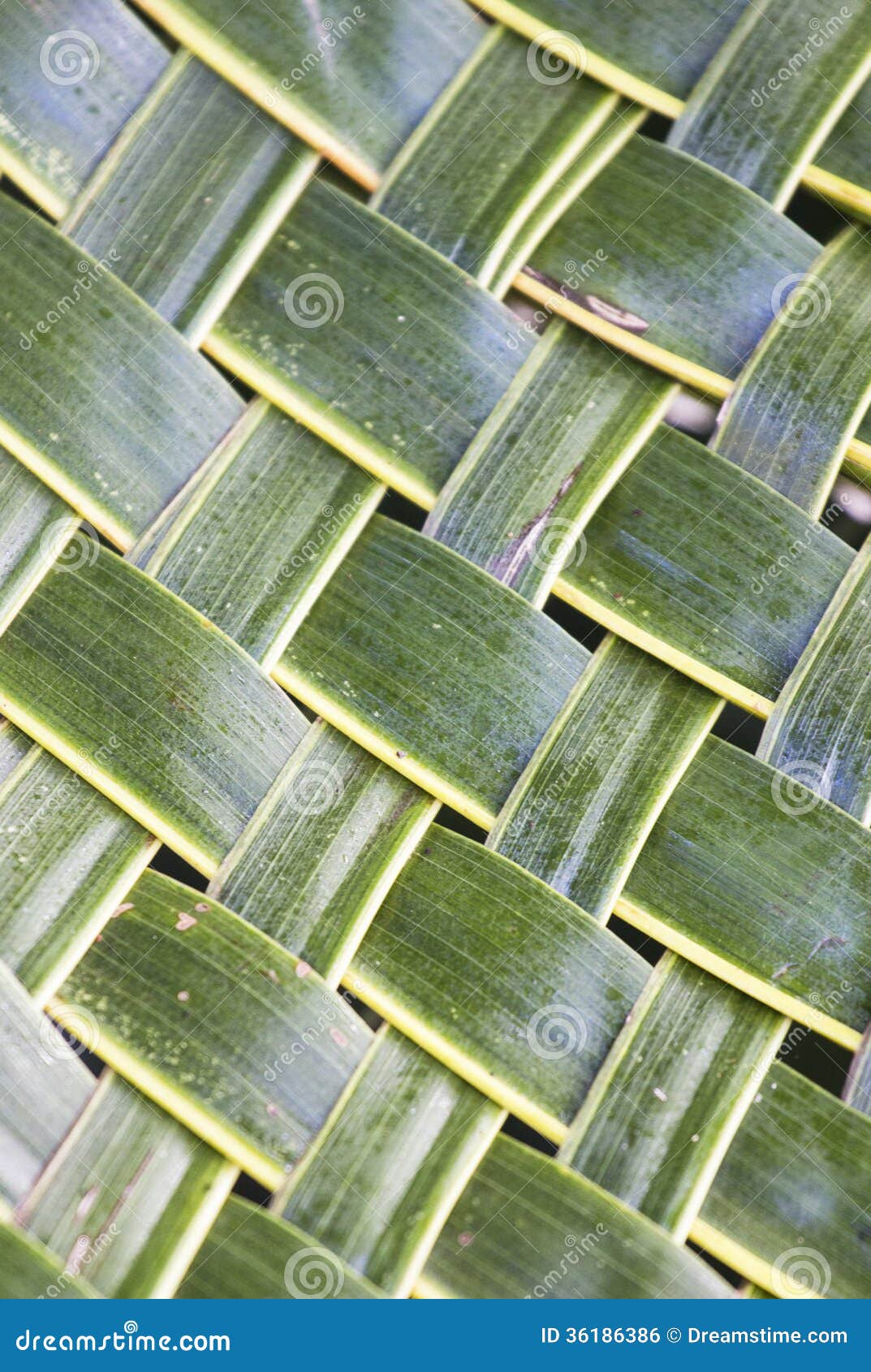 Coconut Leaves Woven Background Stock Photo - Image of basket, asian ...