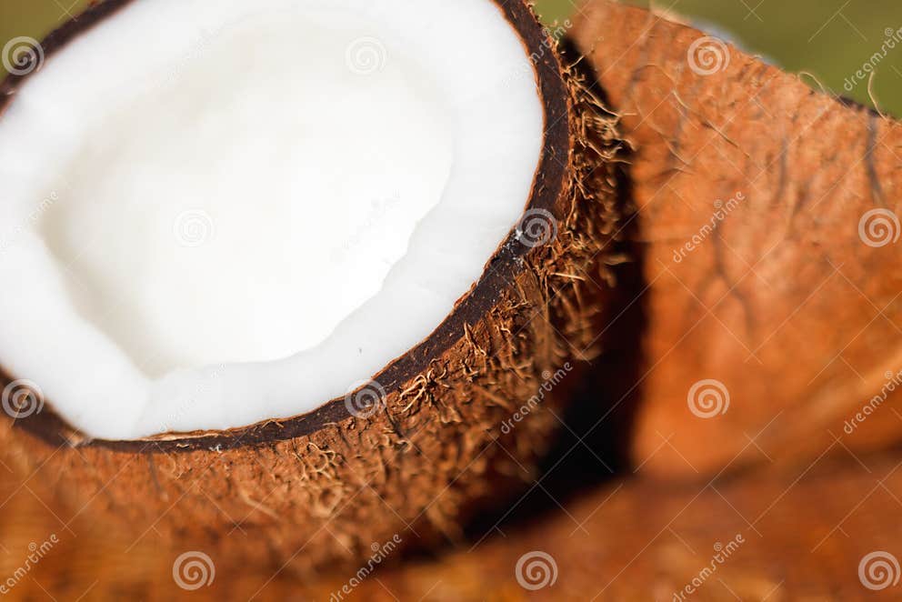 Coconut macro stock image. Image of brown, natural, coco - 17865641