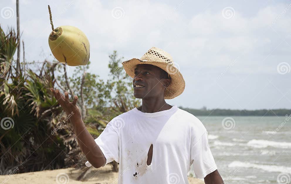 Coconut man stock image. Image of tossing, hand, straw - 20940411