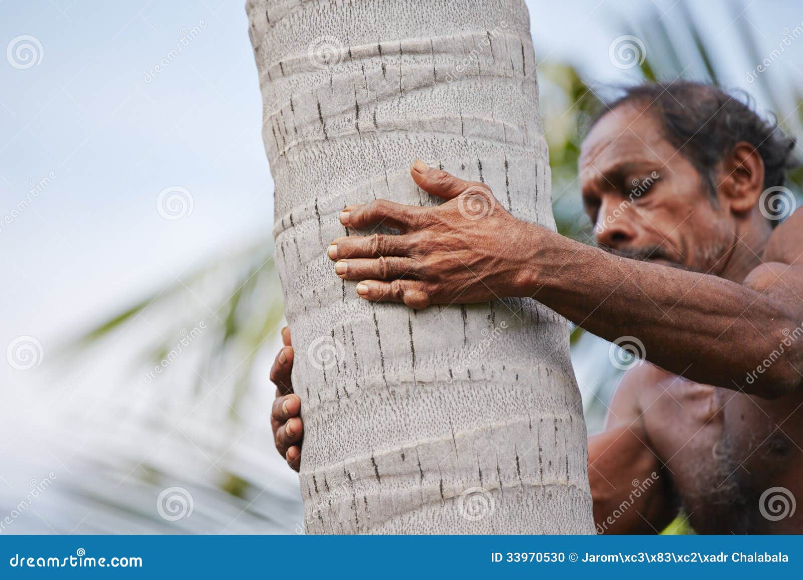 Coconut man stock photo. Image of asian, dexterous, exotic - 33970530