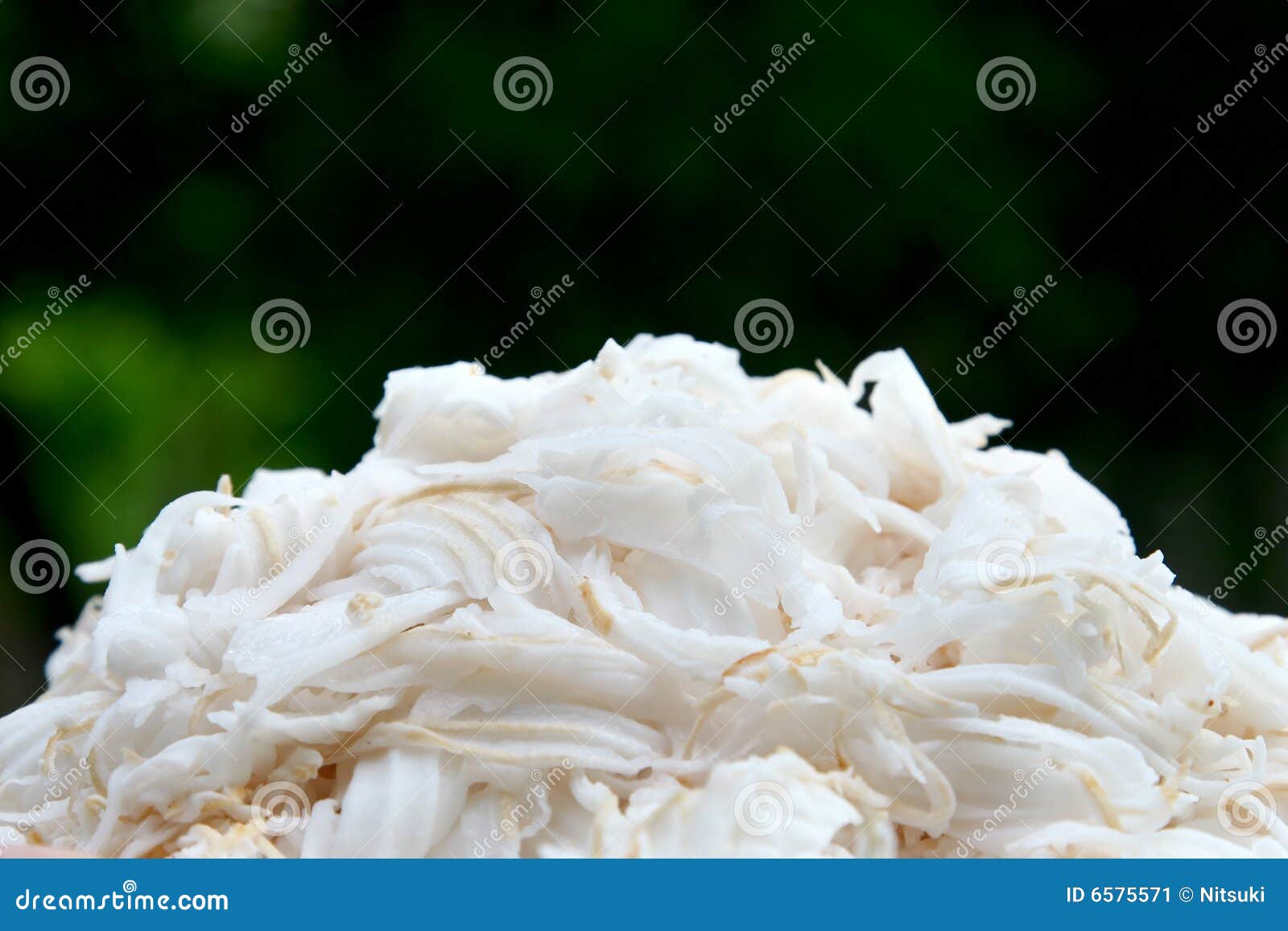 Coconut meat stock image. Image of vitamin, milk, oils - 6575571