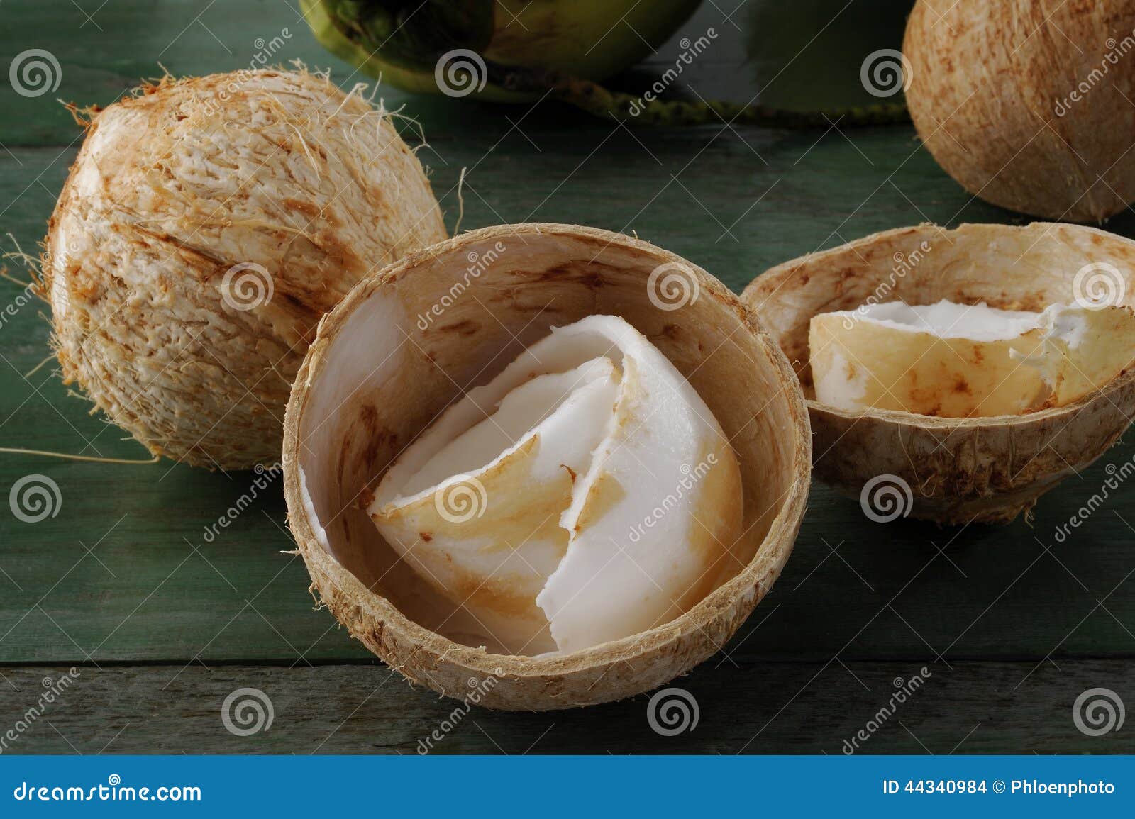 Coconut meat stock photo. Image of coconut, asian, meat - 44340984