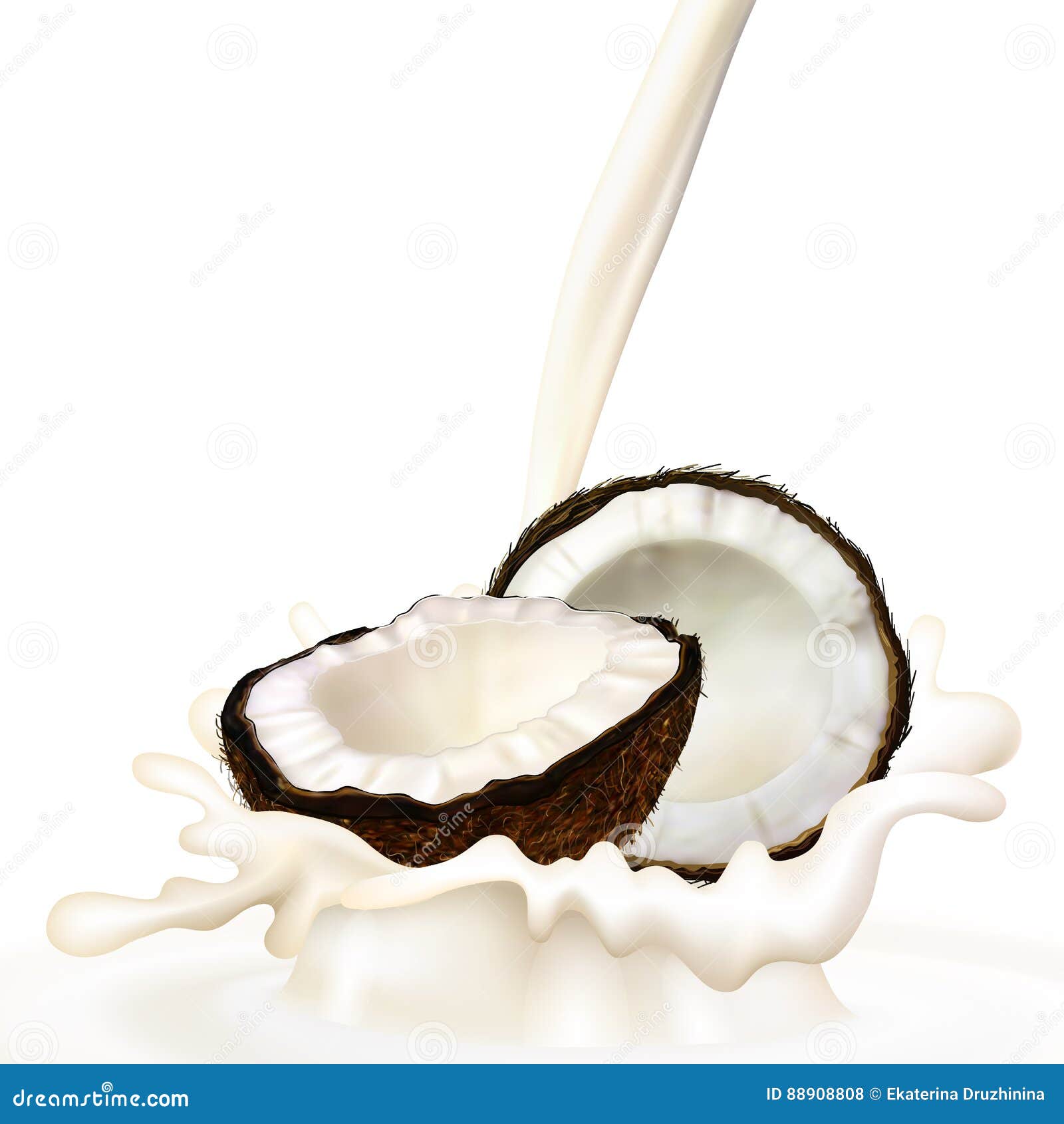 Coconut and milk stock vector. Illustration of sweet - 88908808