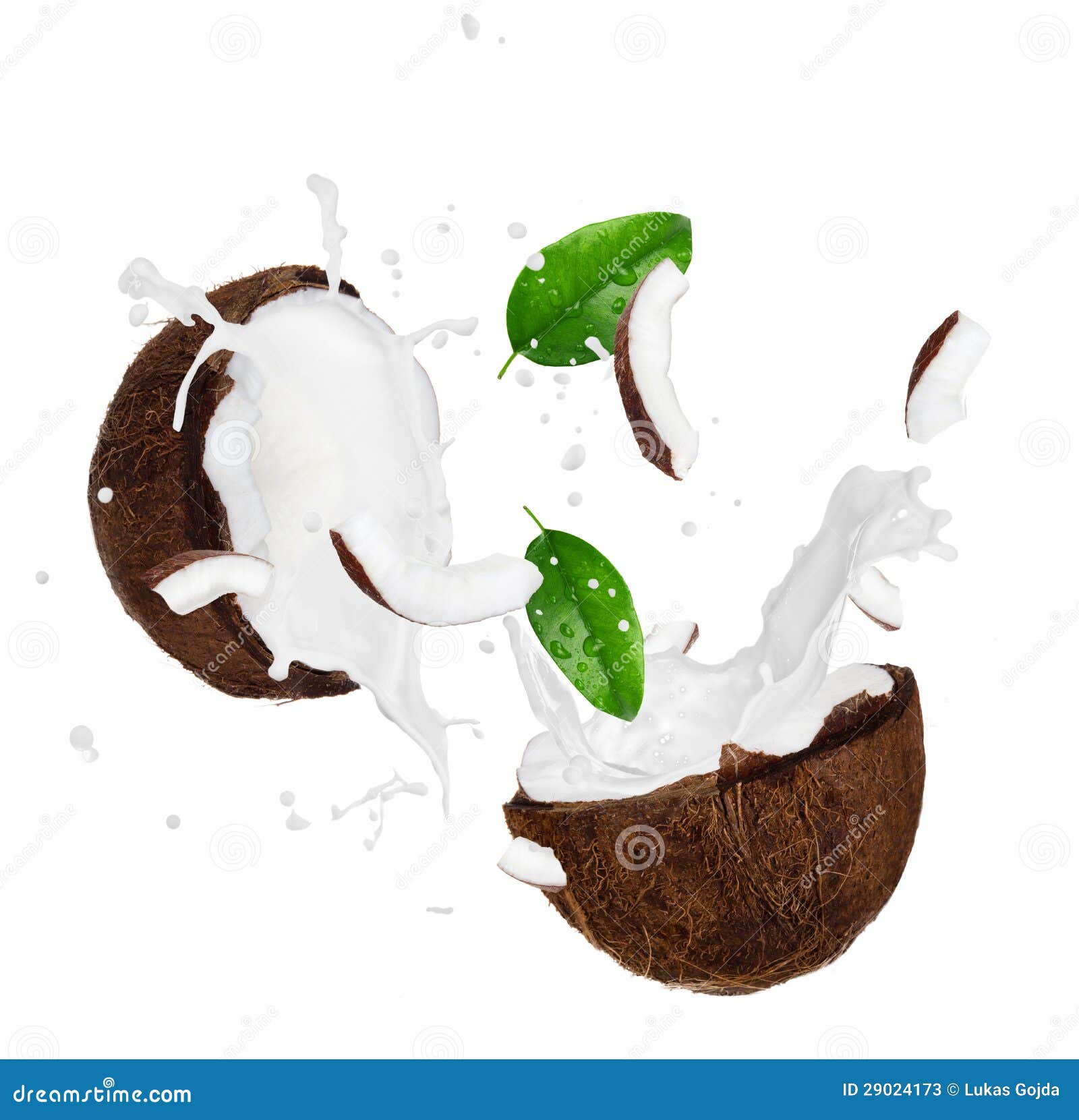 Coconut with milk splash stock image. Image of horizontal - 29024173