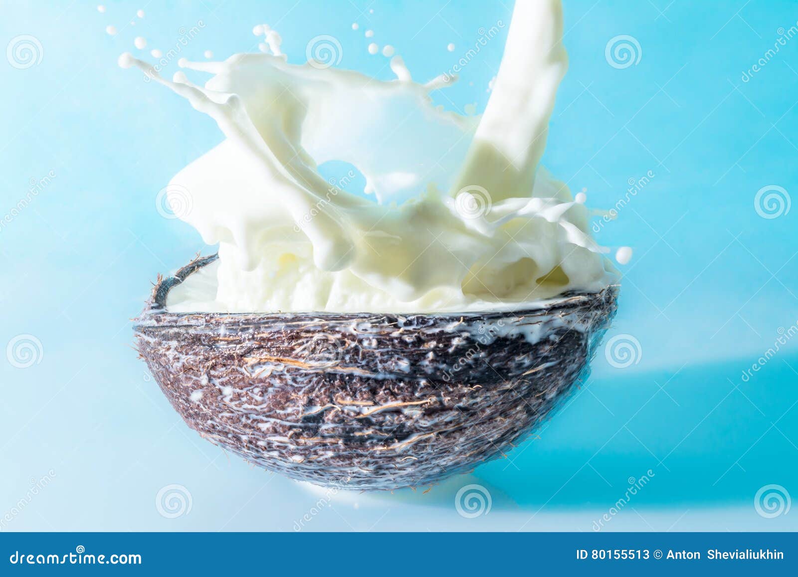 Coconut with Milk Splash on Blue Background, Splashing Milk in Coconut ...