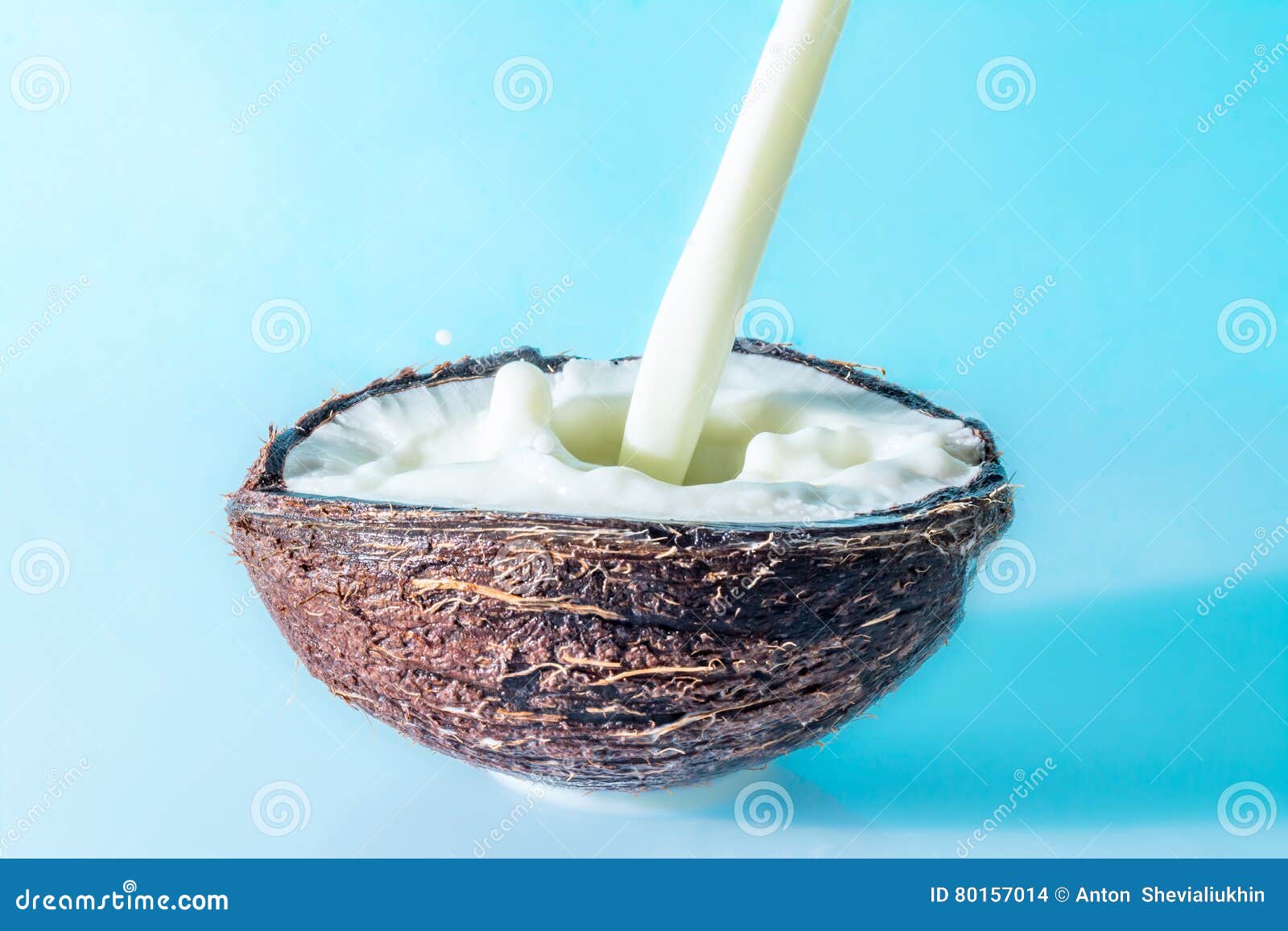Coconut with Milk Splash on Blue Background, Splashing Milk in Coconut ...