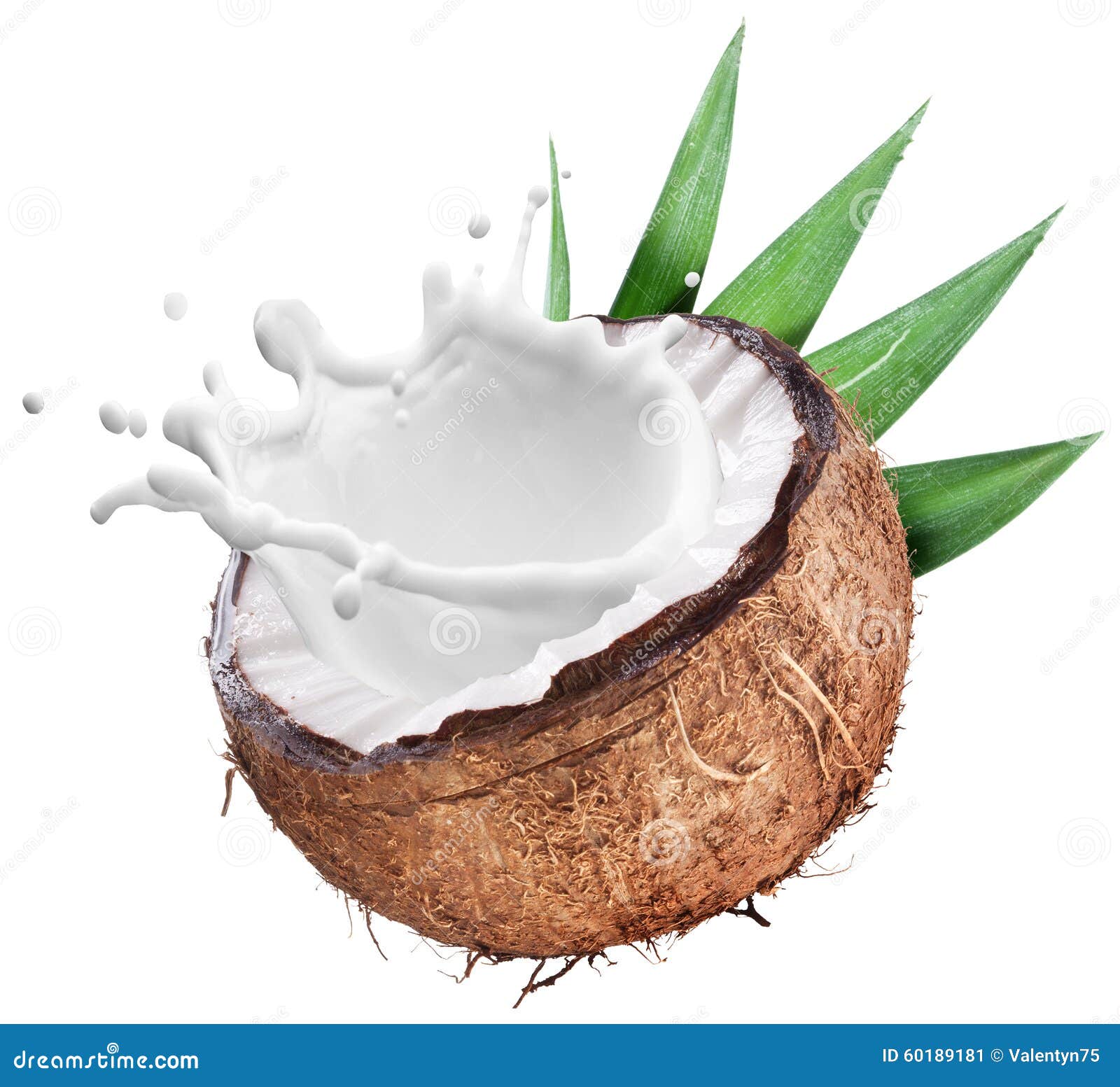 Coconut with Milk Splash Inside. Stock Image - Image of exotic, plant ...