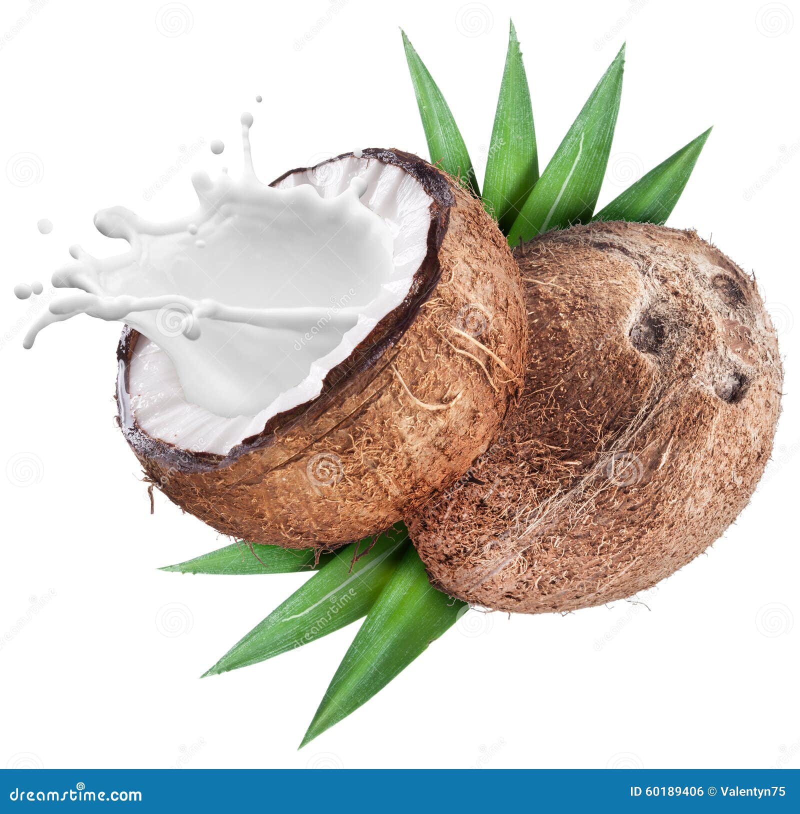 Coconut with Milk Splash Inside. Stock Photo - Image of work, fruit ...