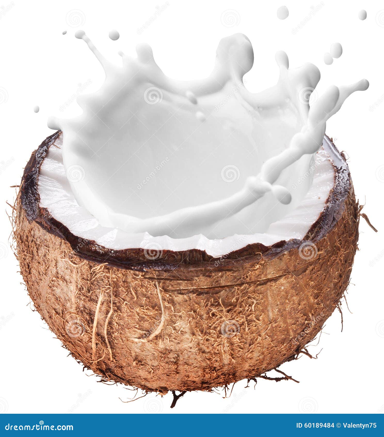 Coconut with Milk Splash Inside. Stock Photo - Image of coco, plant ...
