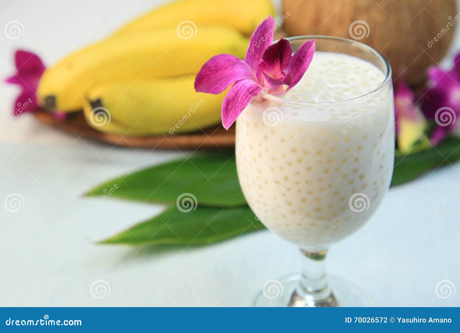 Coconut milk with tapioca stock photo. Image of background - 70026572