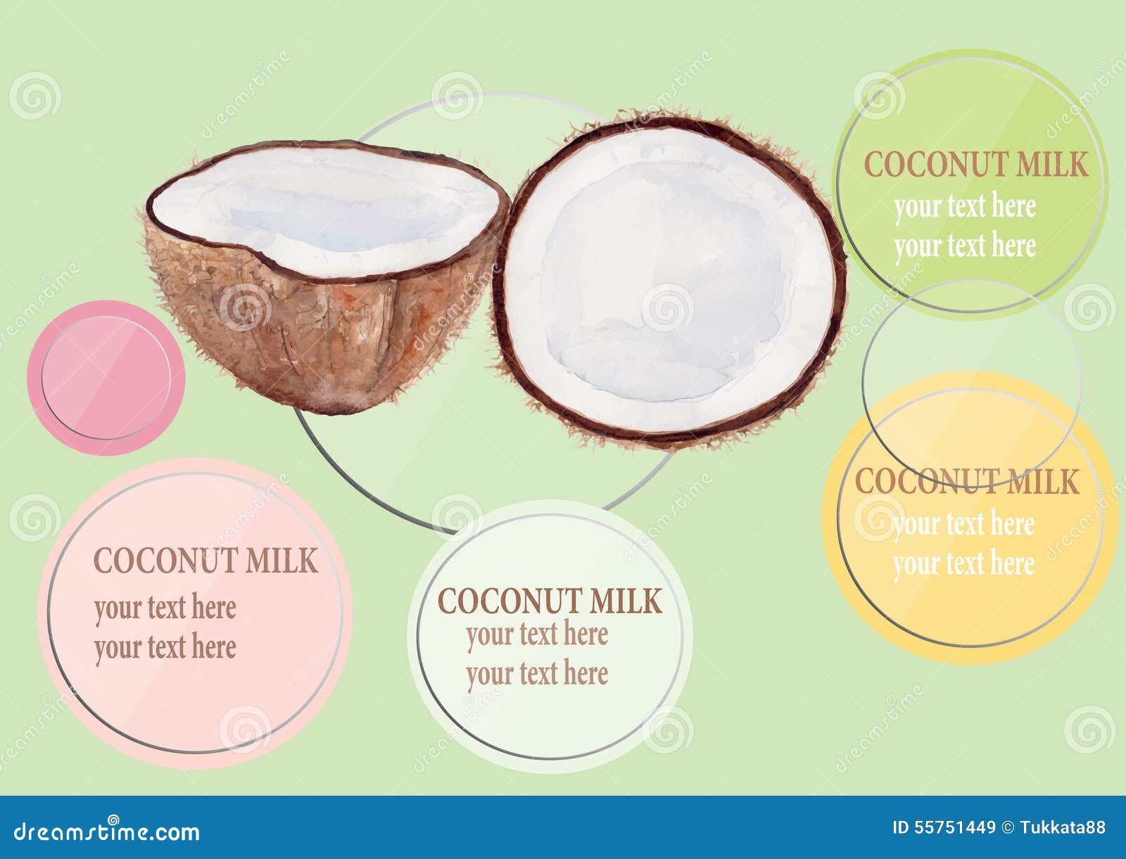 Cycle Of A Coconut Plant Growth Isolated On White Background. Vector ...