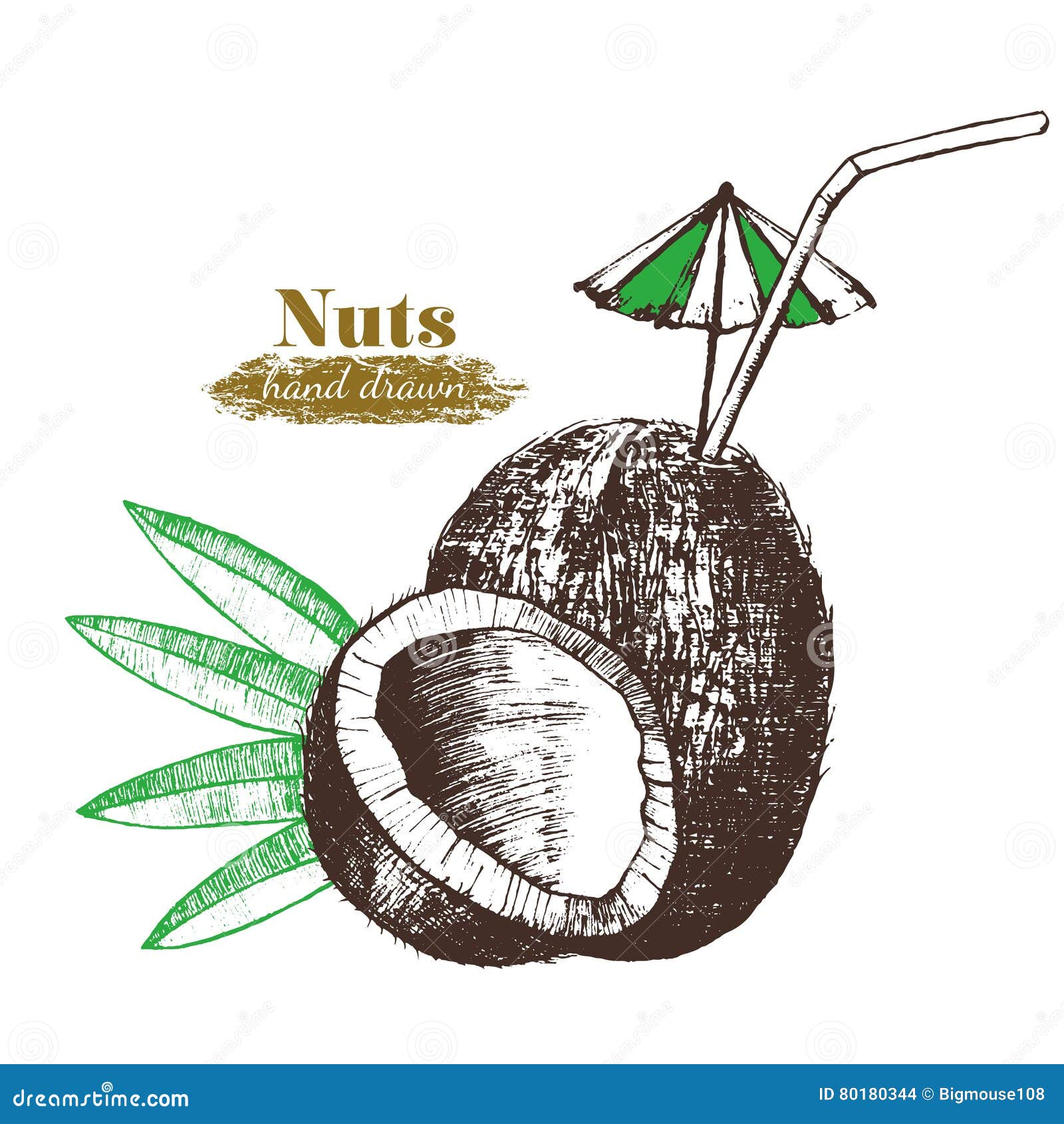 Coconut Nut Cocktail with Leaf Hand Draw Sketch. Vector Stock Vector ...