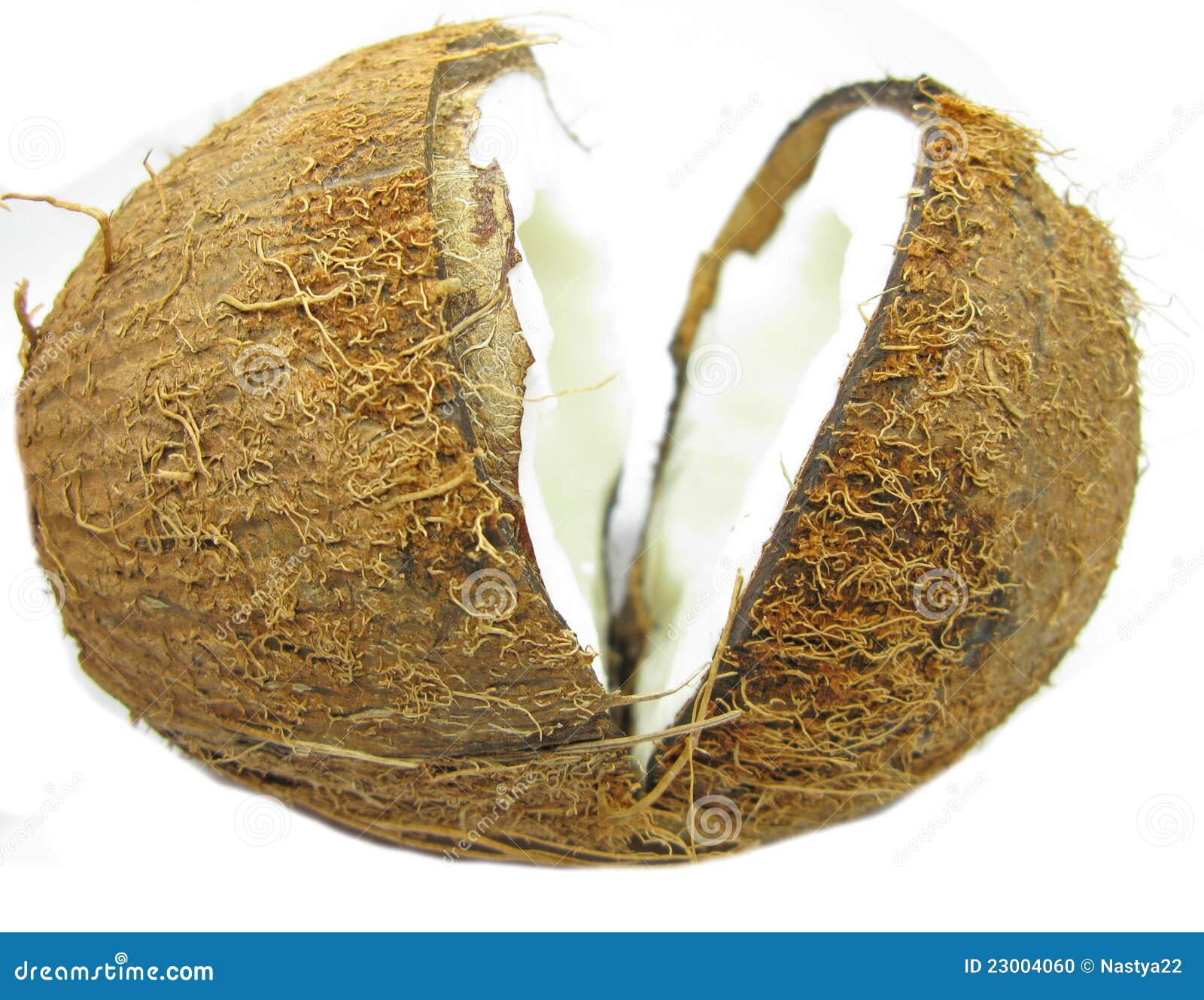 Coconut nut isolated stock photo. Image of nutshell, healthy - 23004060