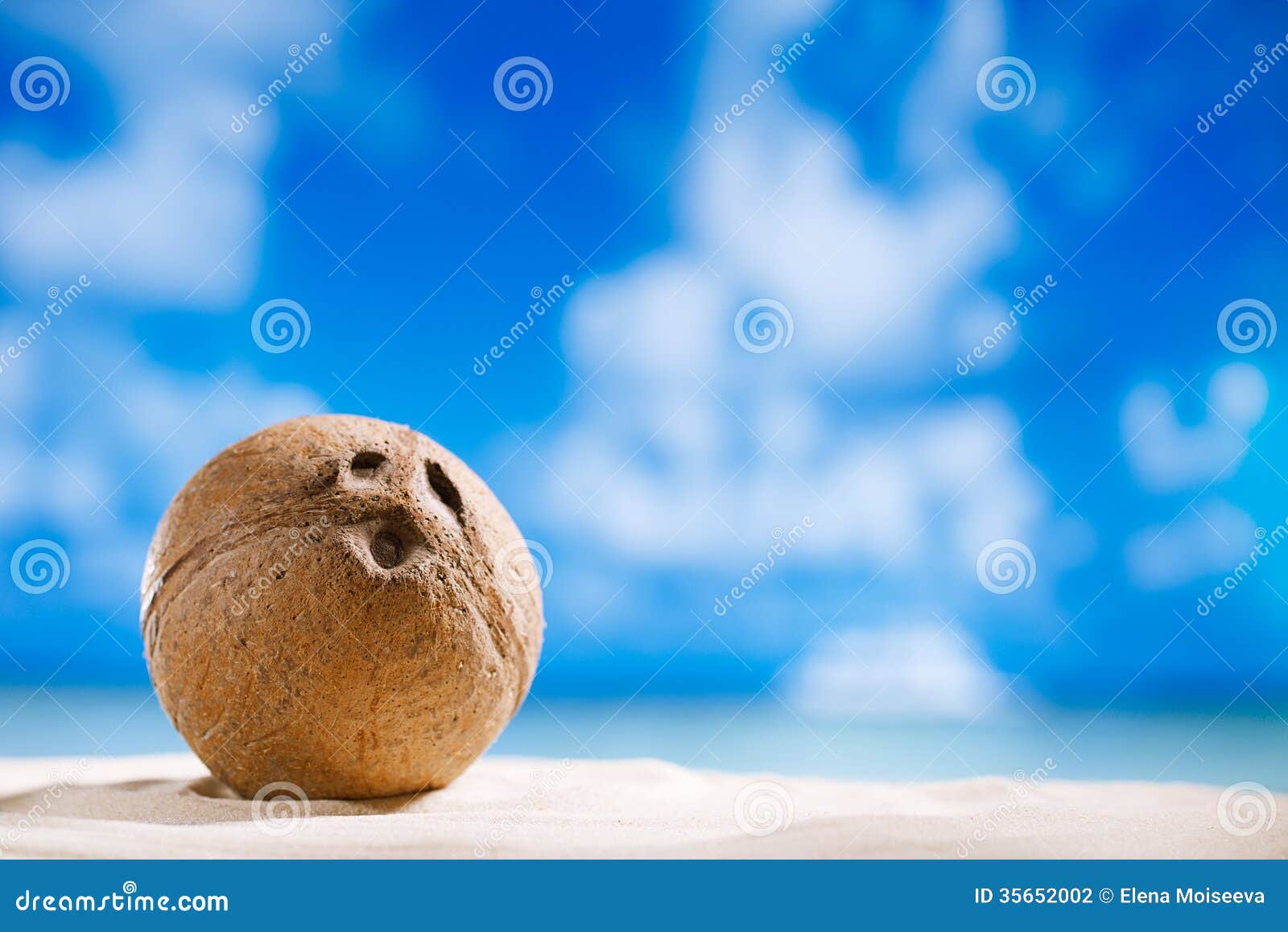 Coconut with Ocean , Beach and Seascape Stock Photo - Image of nature ...