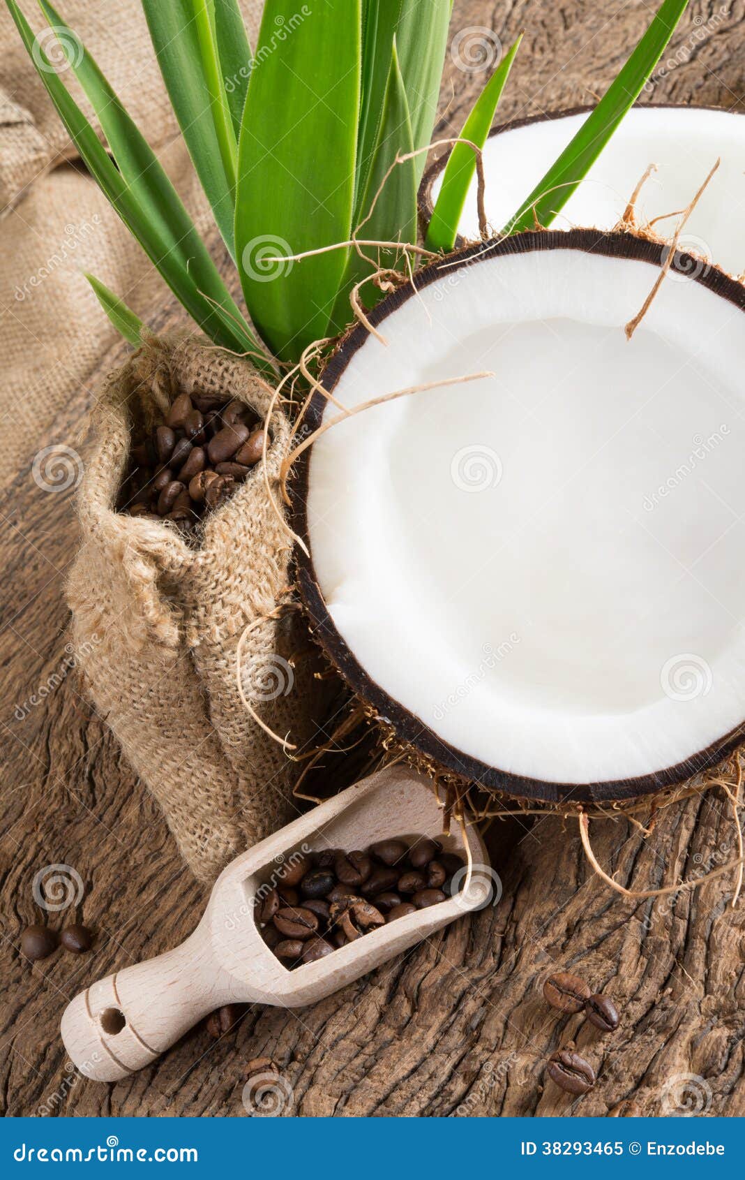 Coconut opened stock image. Image of palm, fruit, refreshing - 38293465