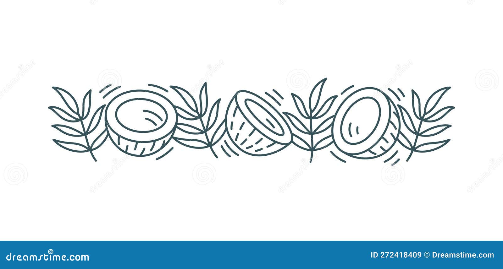 Coconut and Palm Branches. Editable Outline Stroke. Vector Line. Stock ...