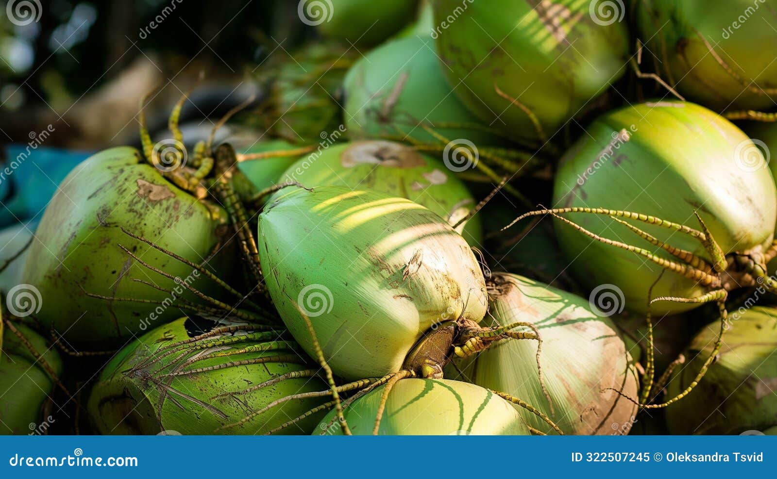 Coconut with Palm Leaves Background, Green Coconut Shells Stock Image ...
