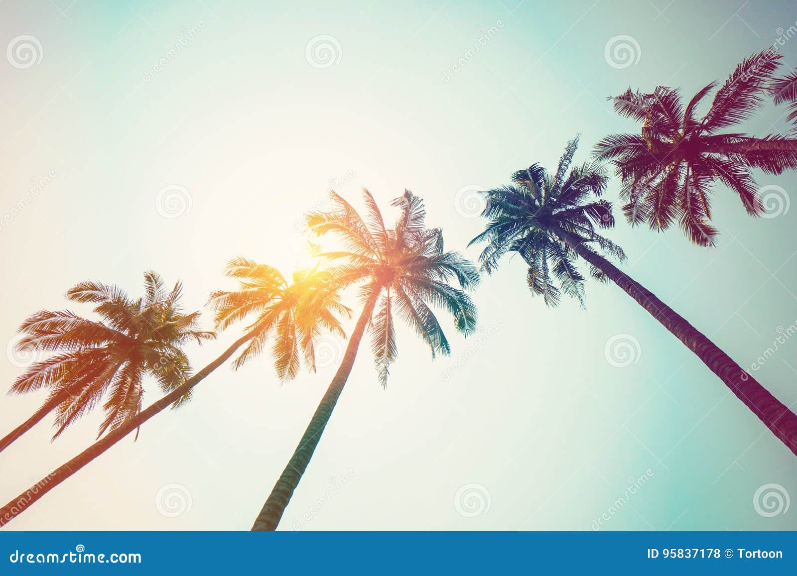 Stylized Coconut Texture Stock Photos - Free & Royalty-Free Stock ...