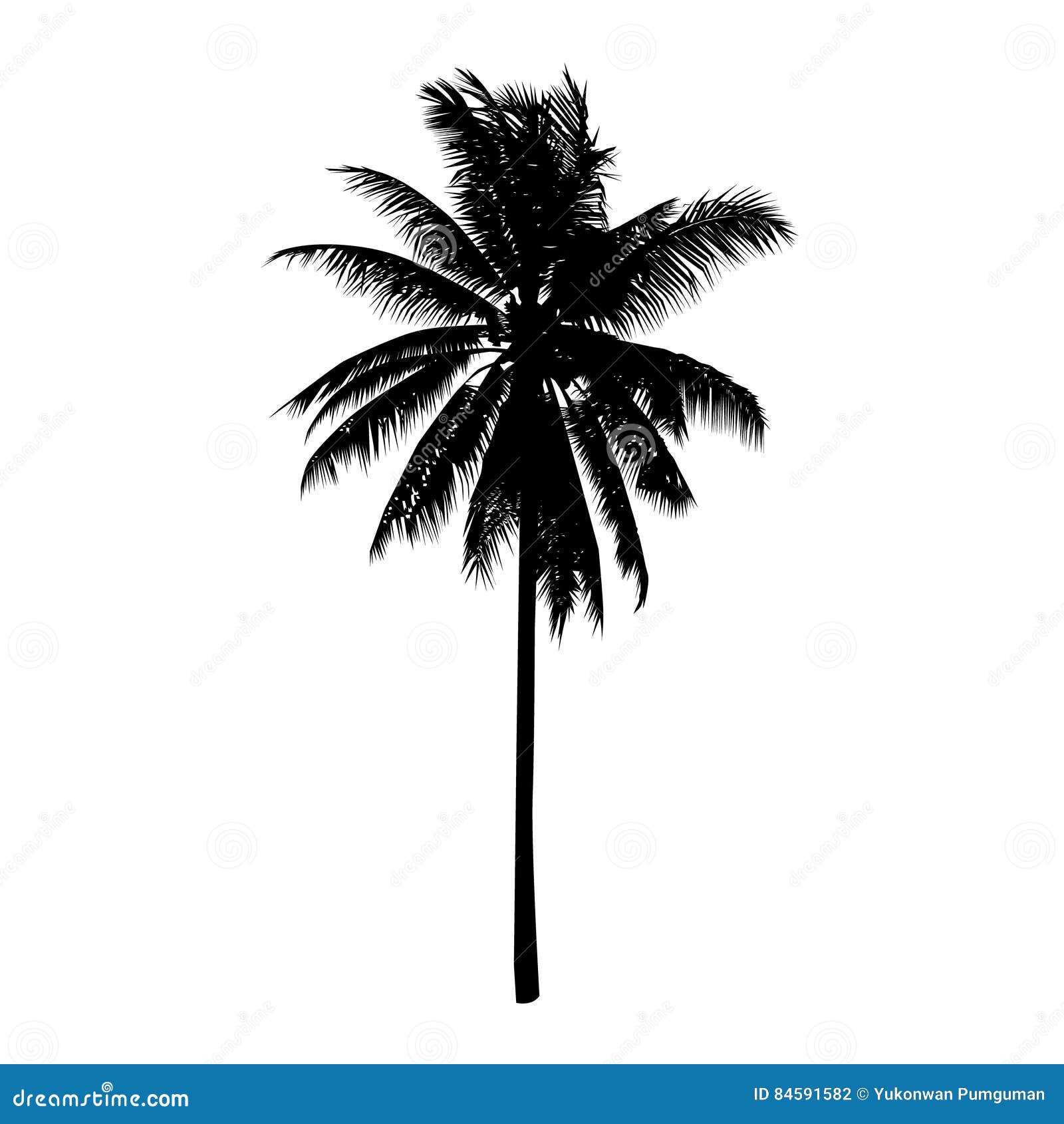 Palmera Vector Png