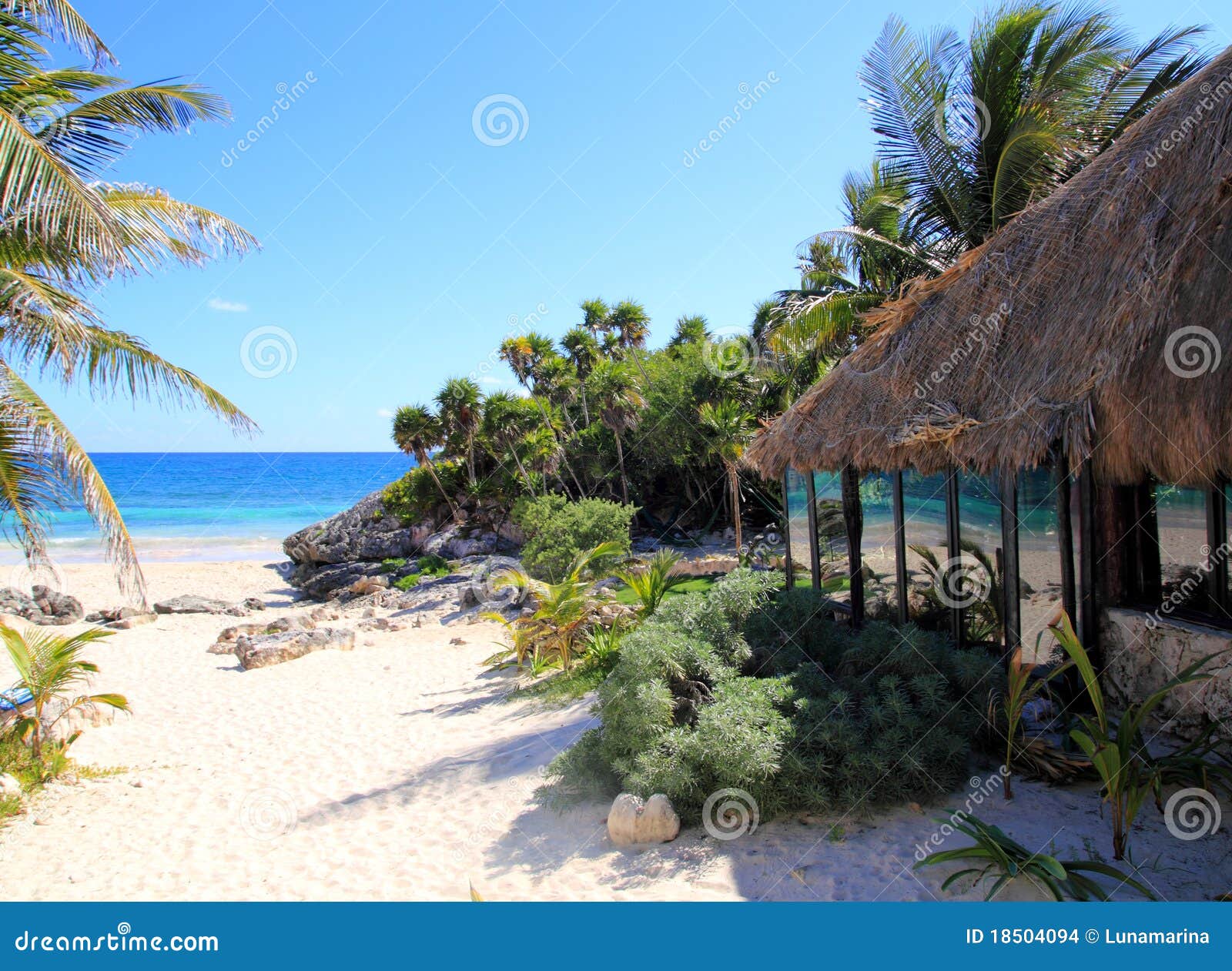 Coconut Palm Trees Palapa Hut Beach Stock Photo - Image of island ...