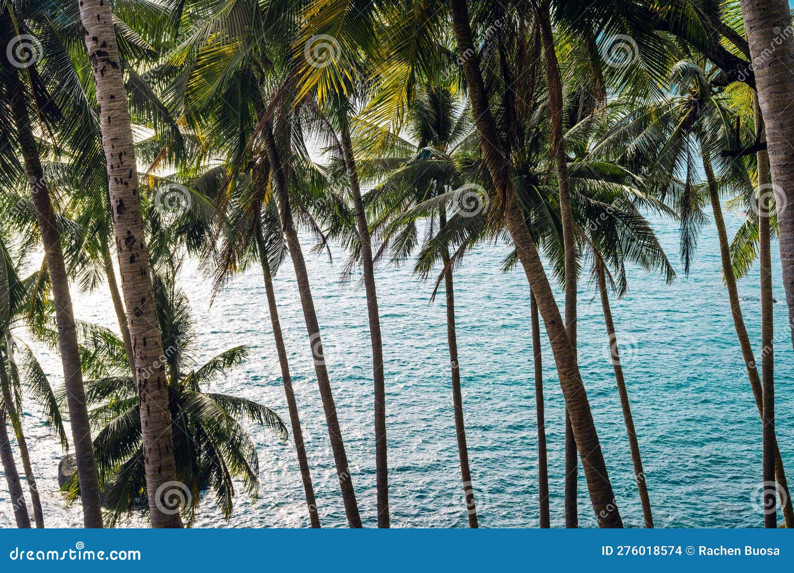Tropical Island,coconut and Palm Trees by the Sea on the Island Stock ...