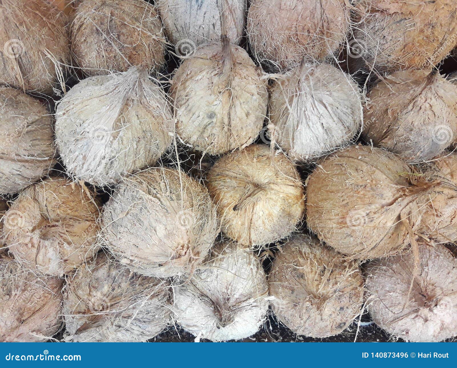 Coconuts Collected in a Shop. Stock Photo - Image of fresh, ingredient ...