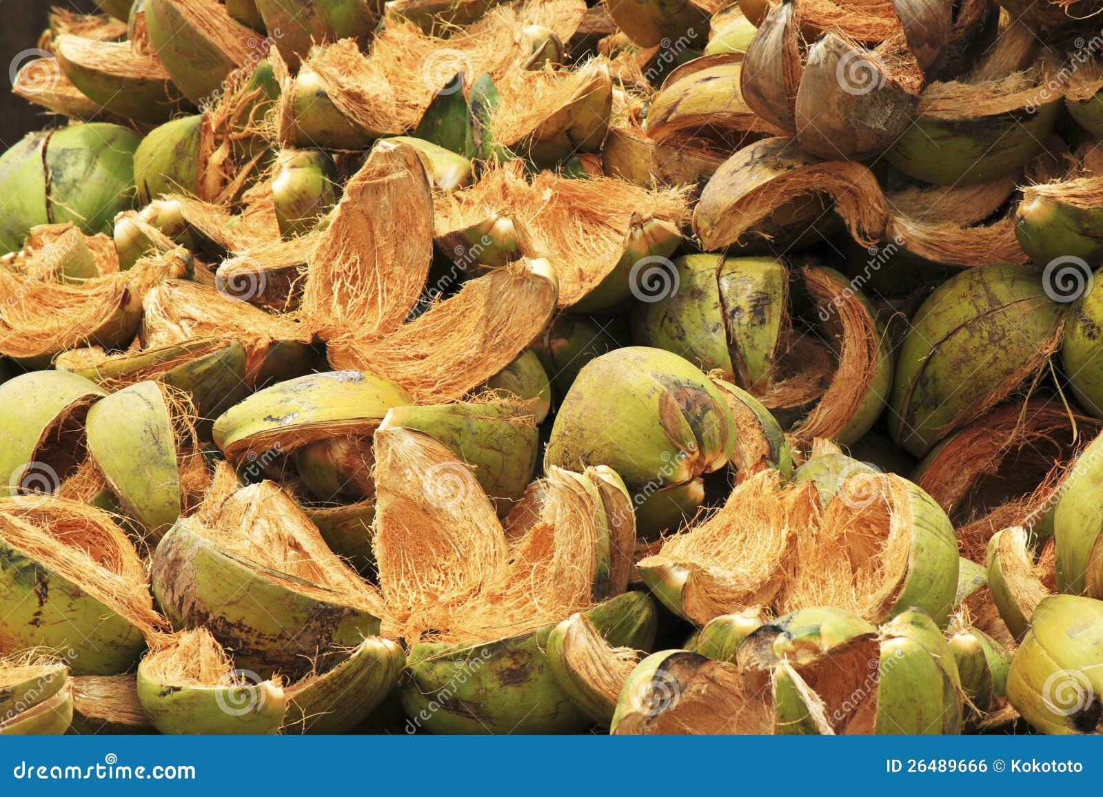 Coconut peel stock photo. Image of fresh, orange, pile - 26489666