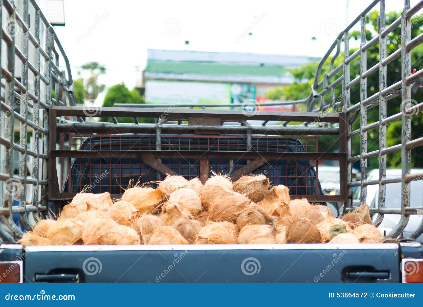 Coconut Peel Transport in Car Stock Photo - Image of palm, macro: 53864572