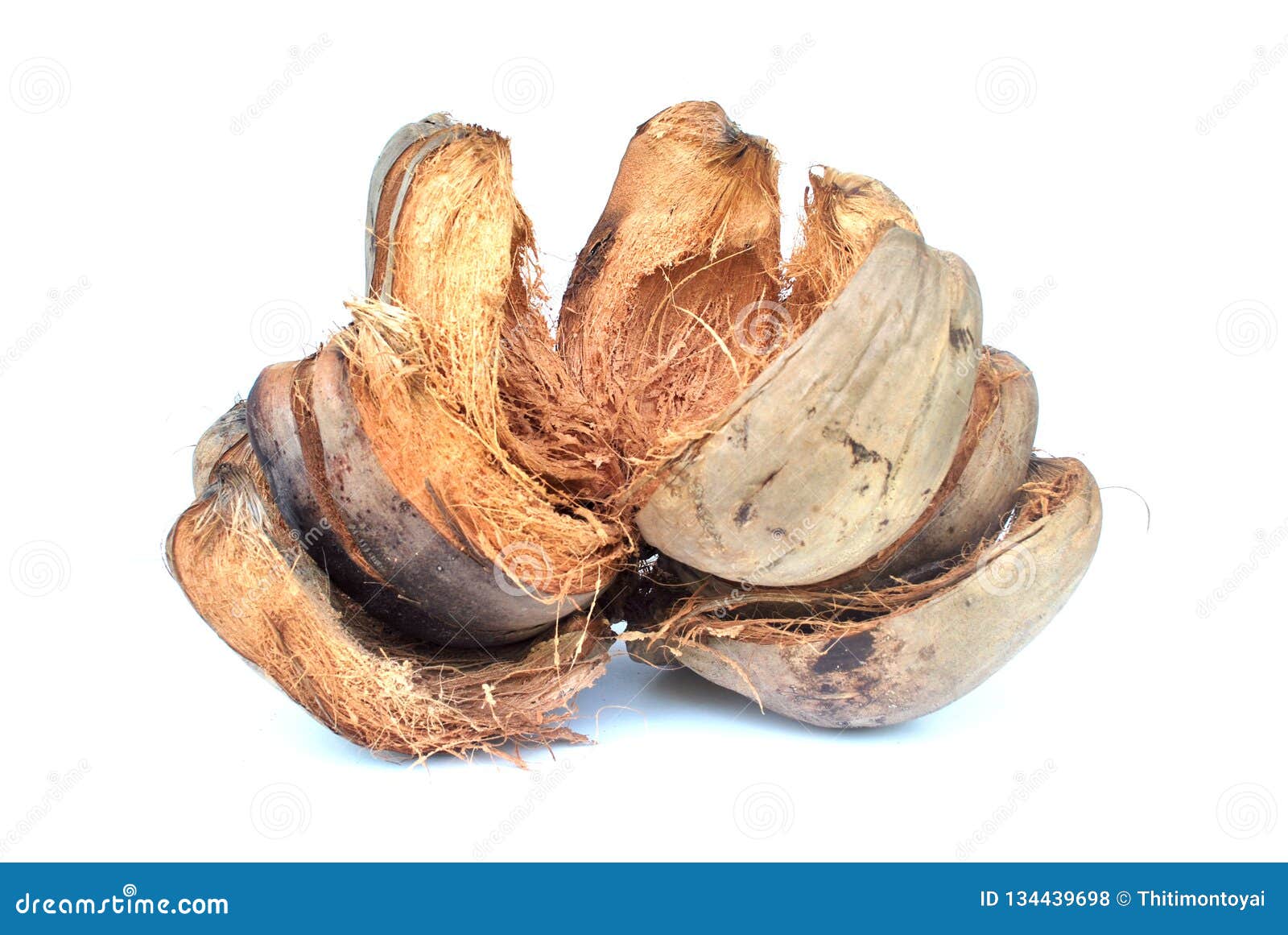 Coconut Peel White Background. Stock Photo - Image of ground, healthy ...