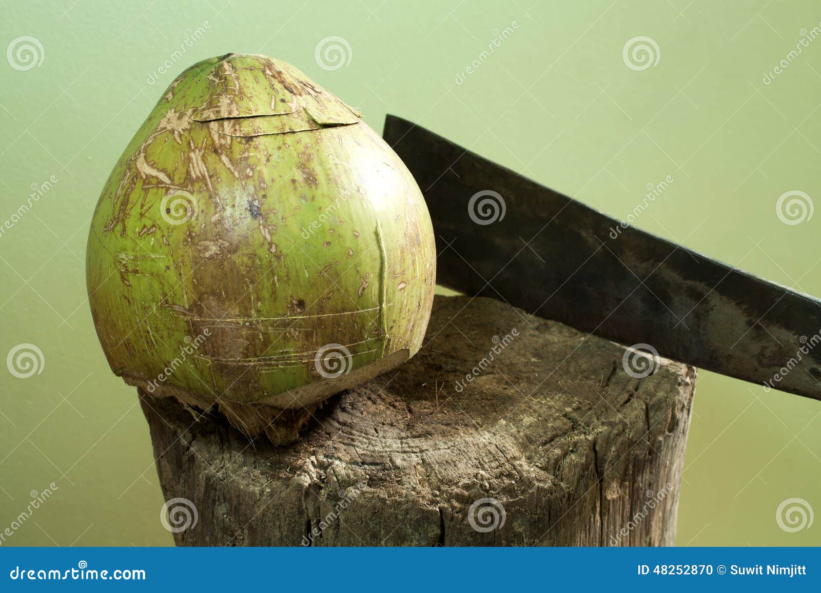 Coconut peeling stock photo. Image of hairy, exotic, fresh - 48252870
