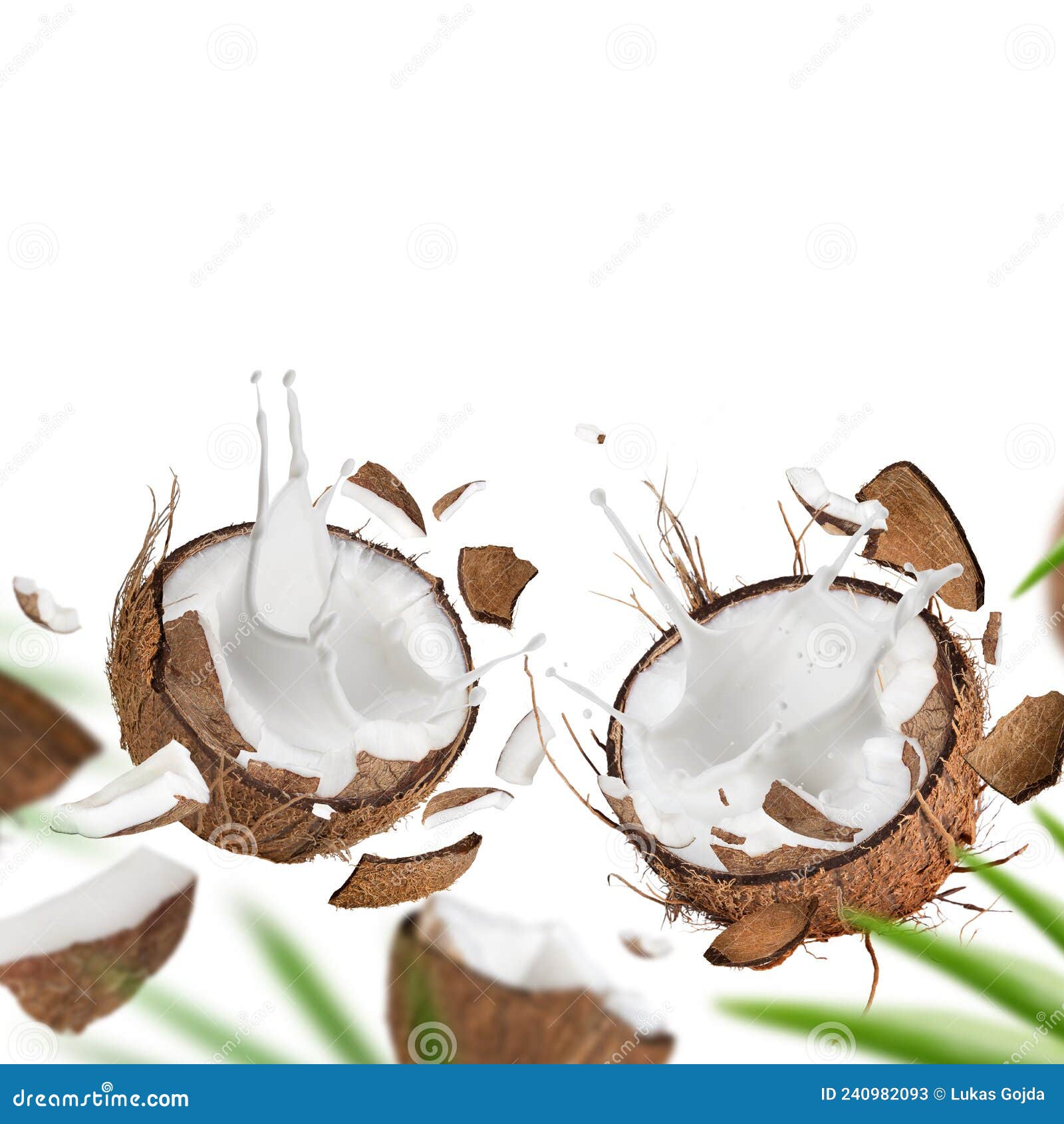 Coconut Pieces Flying in the Air. Stock Image - Image of fresh, coconut ...