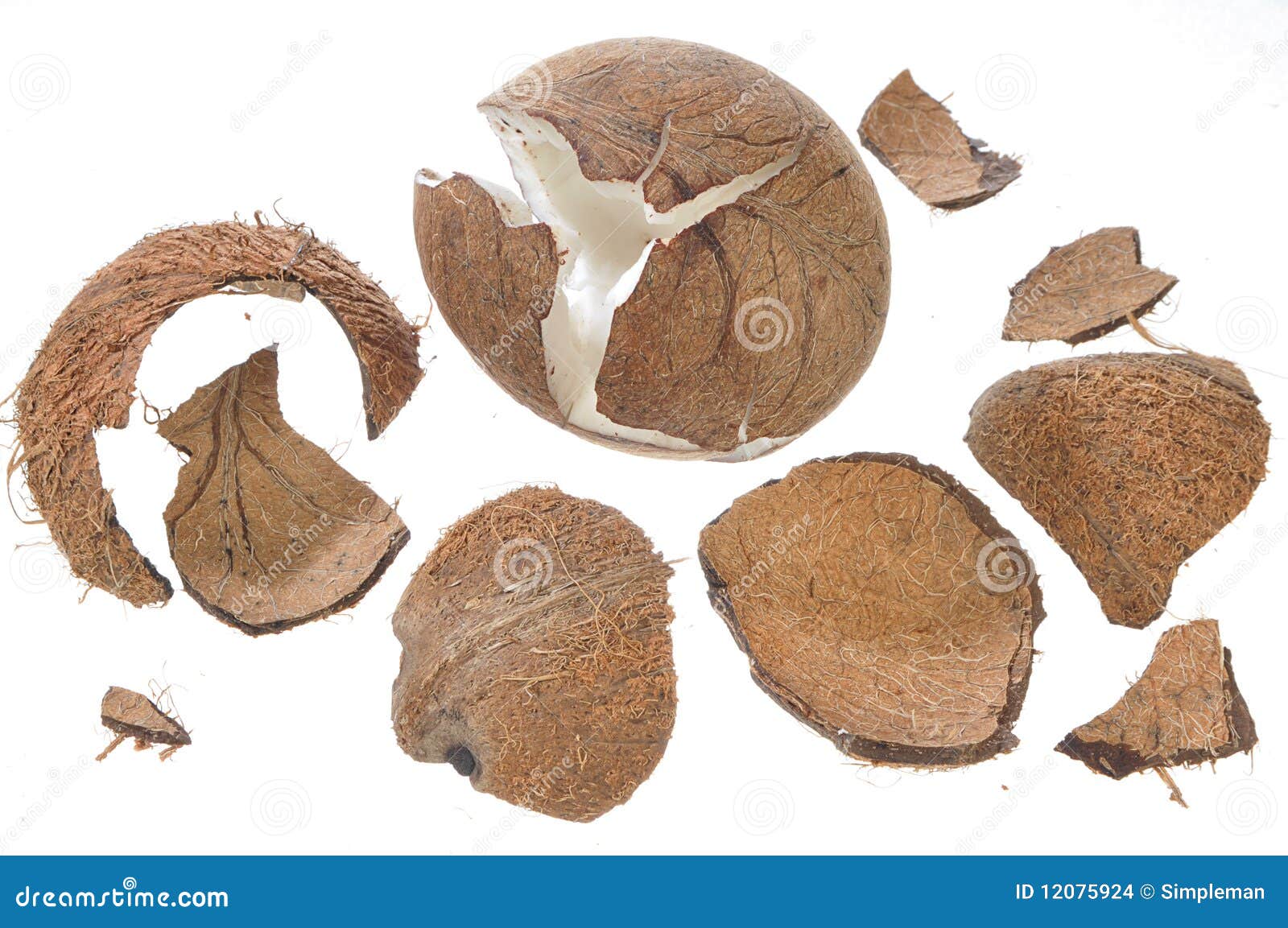 Coconut and Pieces of His Shell Stock Photo - Image of brown, freshness ...